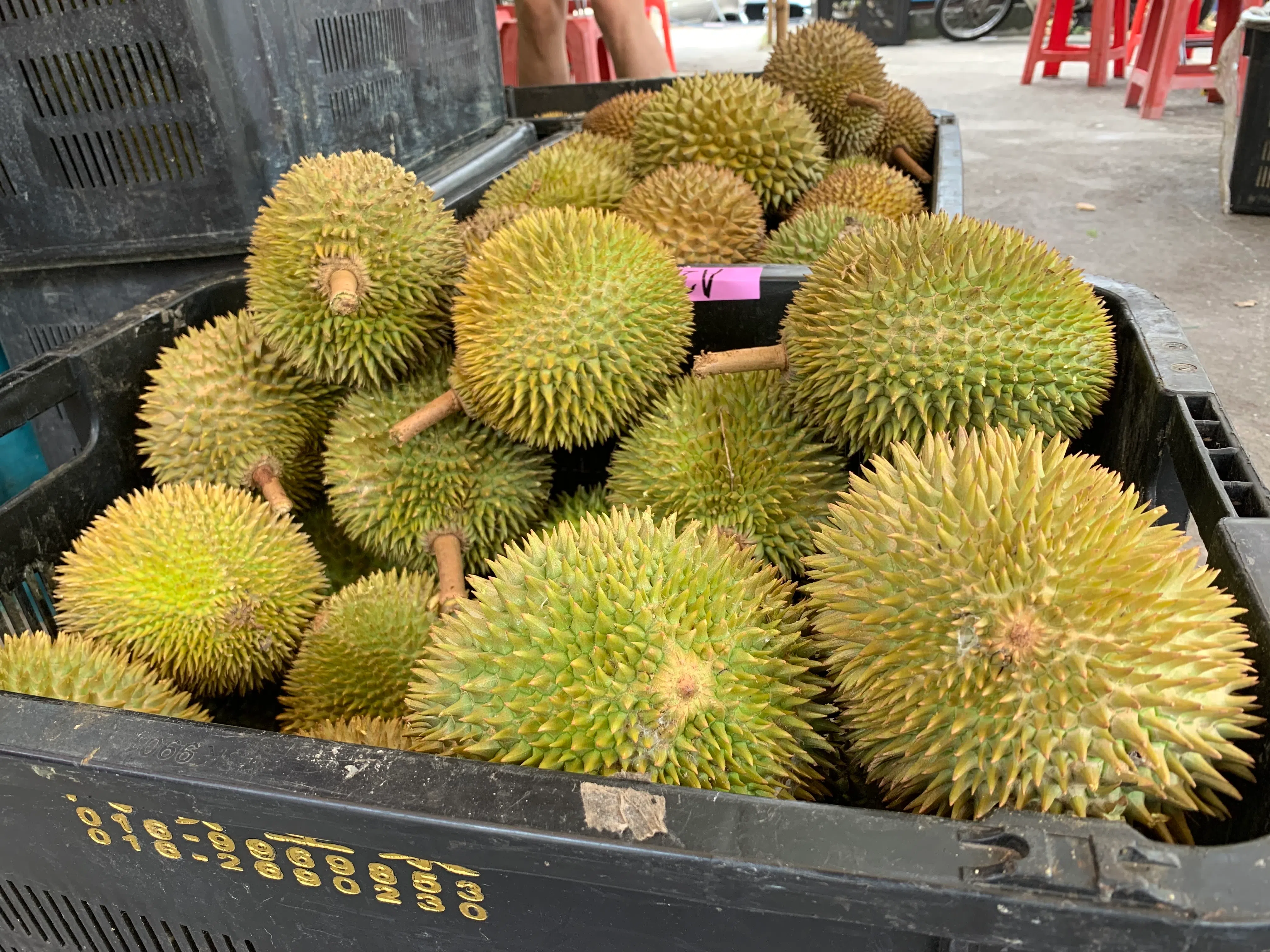 Palm oil companies look to durian as alternative crop - The Business Times