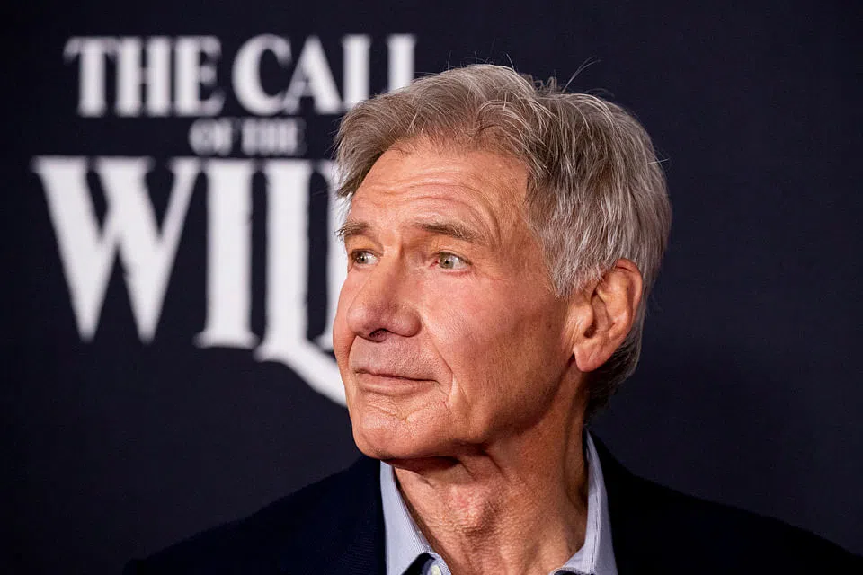 Sonic the Hedgehog narrowly beats Harrison Ford's Call of the Wild