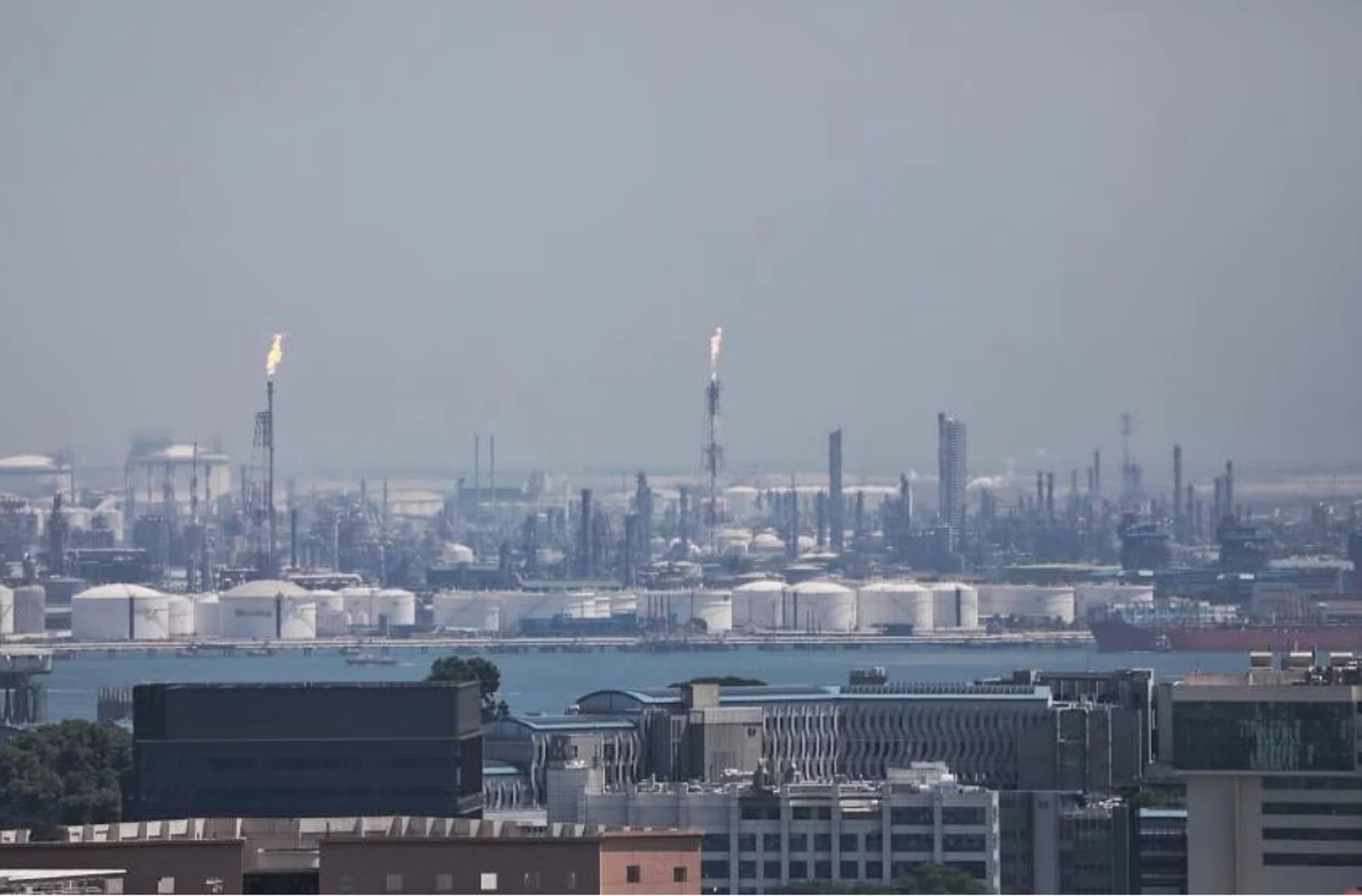 Keppel power plant to be built on former chemical plant site; nature ...