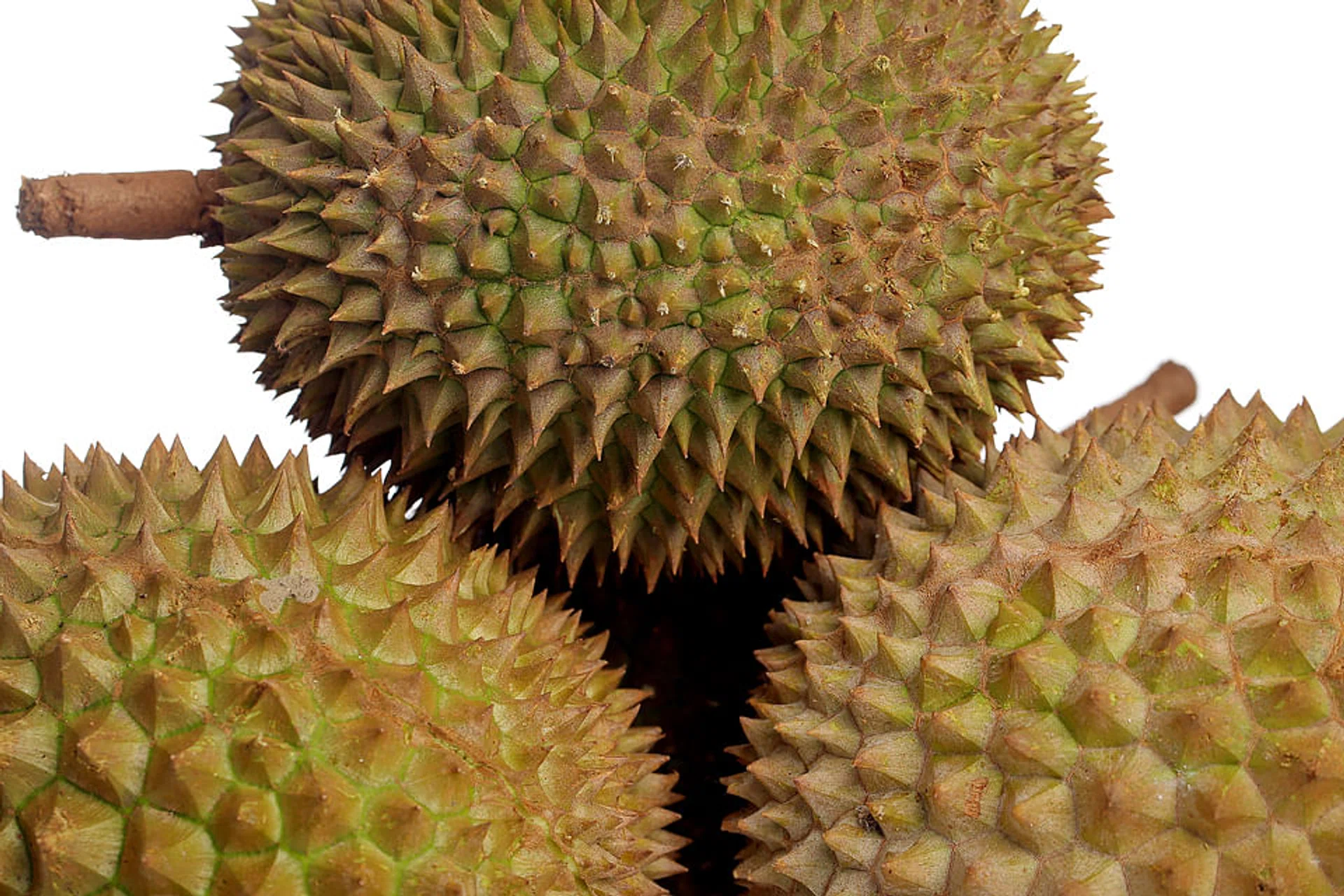 The dash for durians in BT Weekend - The Business Times