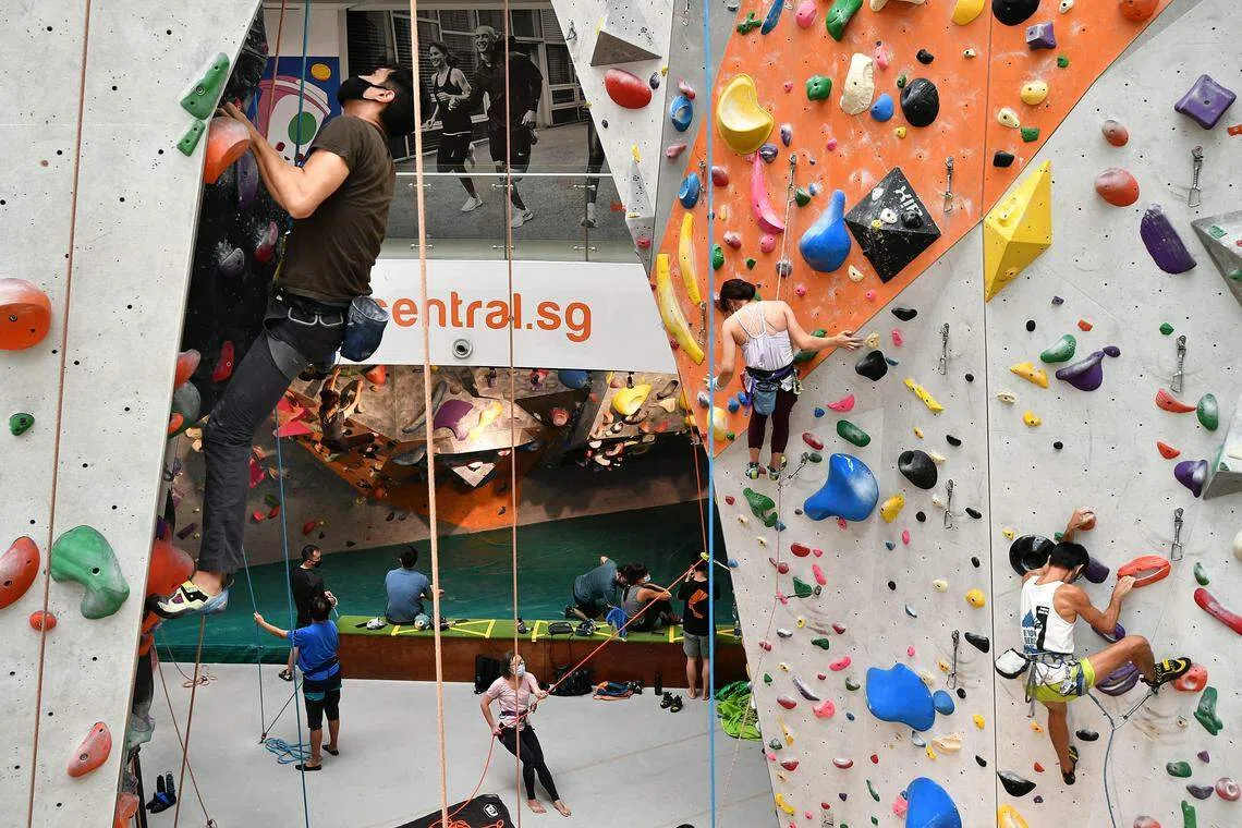 Climb Central keeps a foothold in the crowded rock-climbing market ...