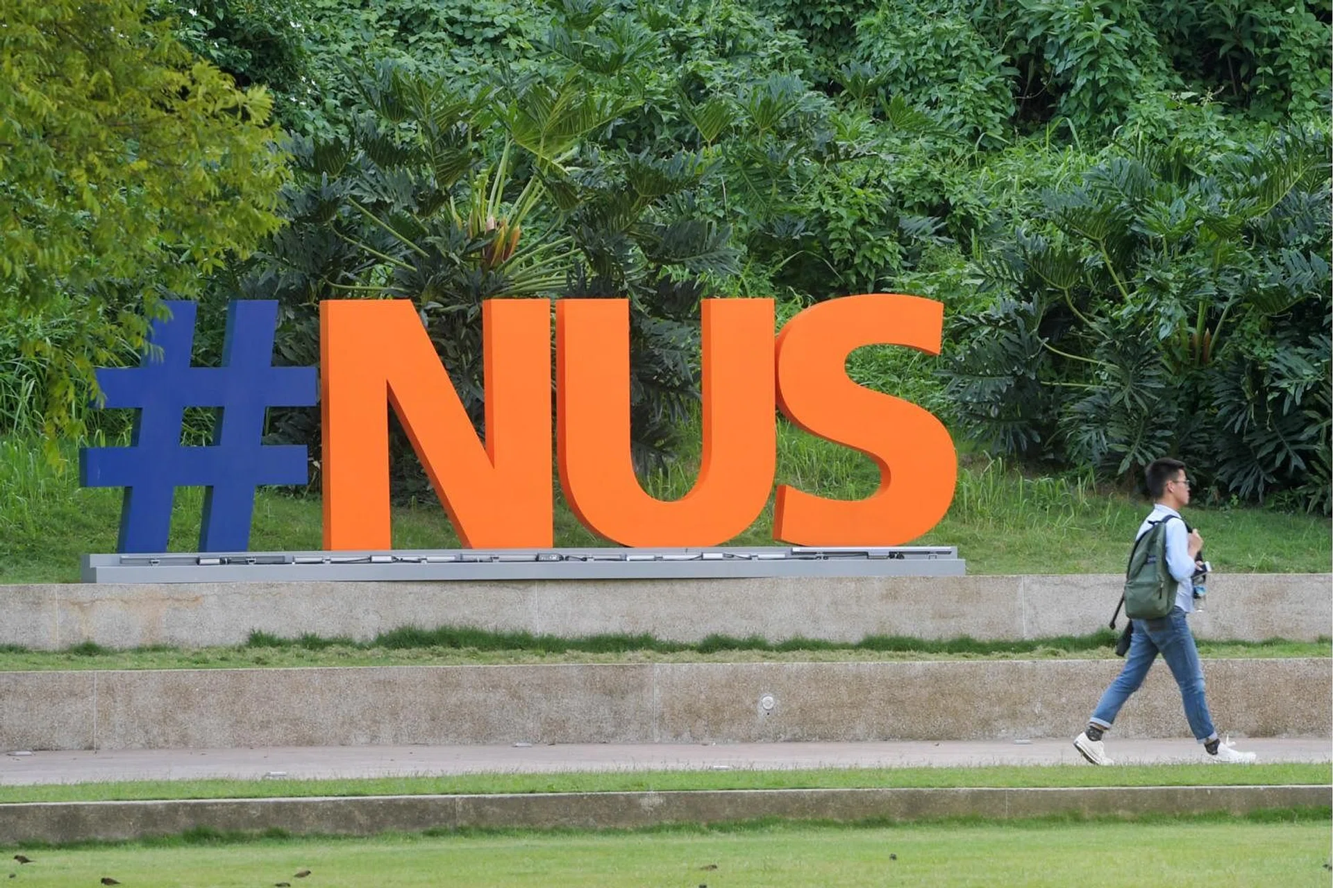 NUS fintech course aims to ease supply crunch - The Business Times