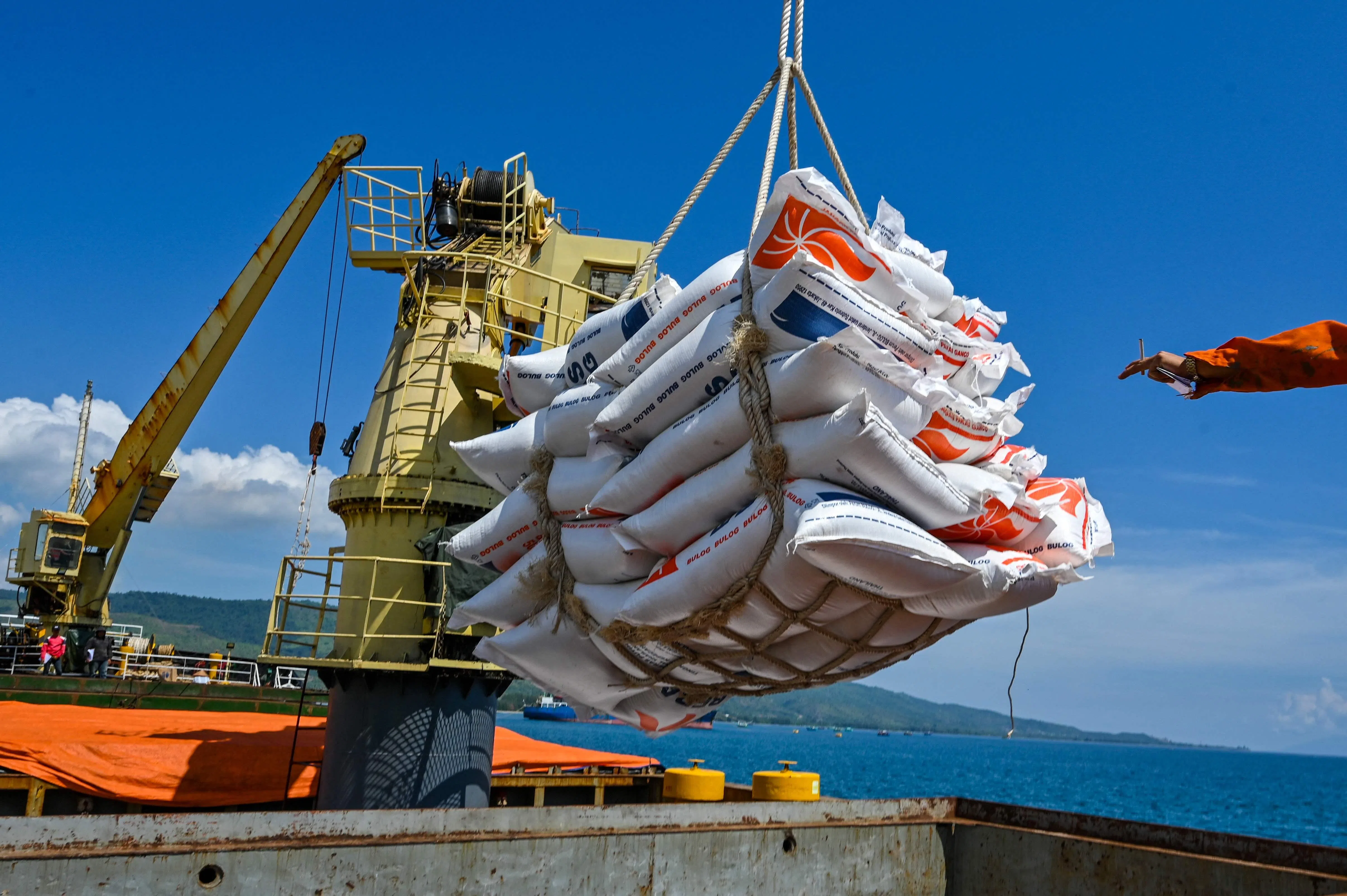 Philippines curbs rice prices as inflation worry mounts - The Business ...