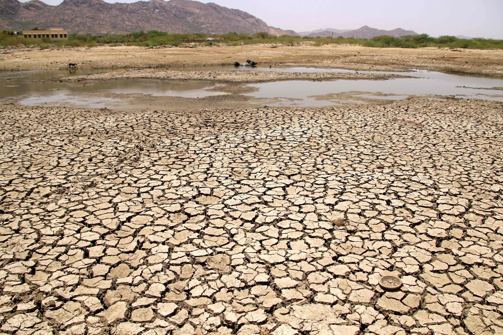 Planet ‘on the brink’, with new heat records likely in 2024: UN - The ...