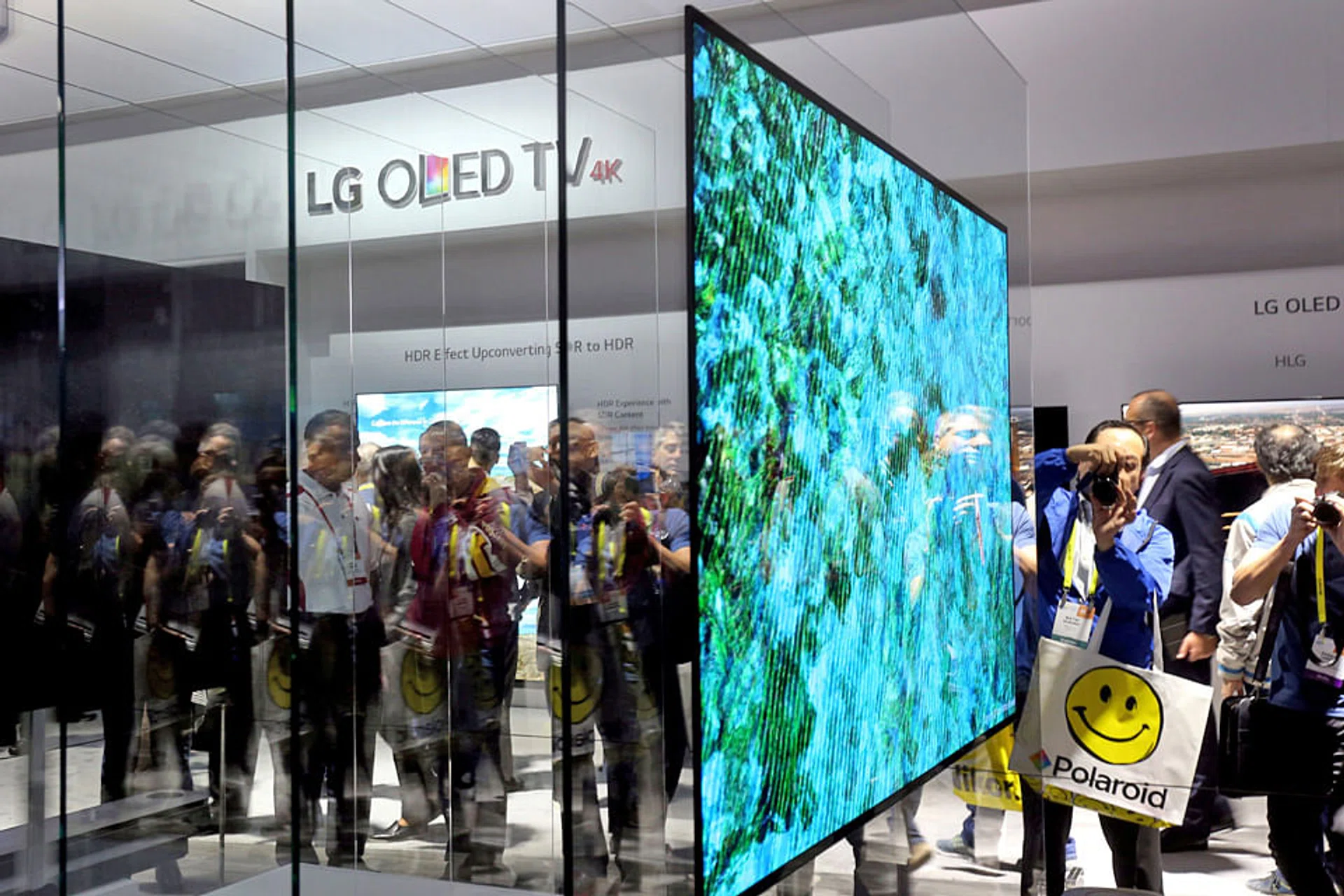 LG Display to open China OLED plant - The Business Times