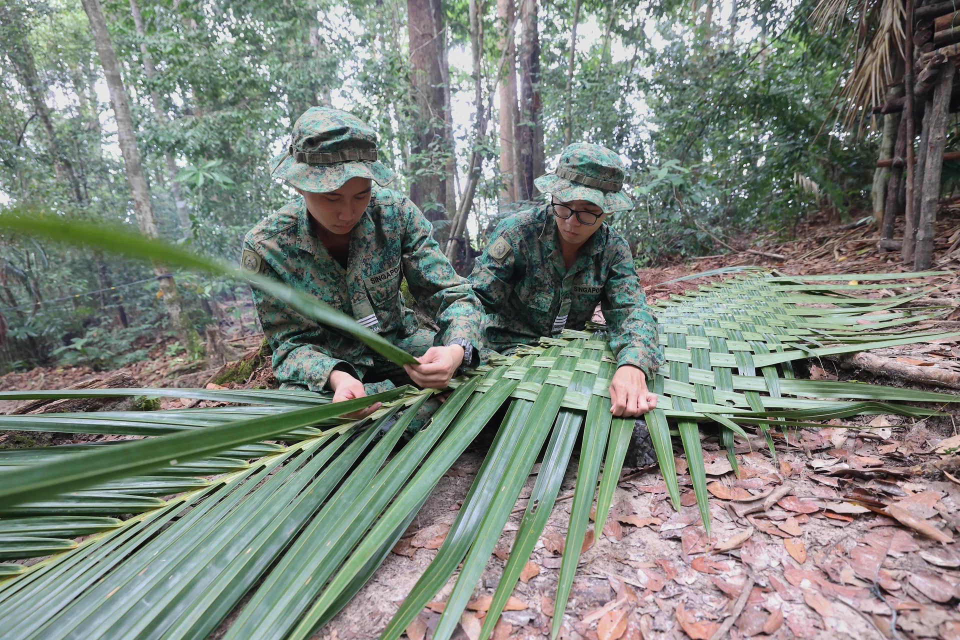 Budget 2024: S$200 in LifeSG credits for 1.2 million NSmen - The ...