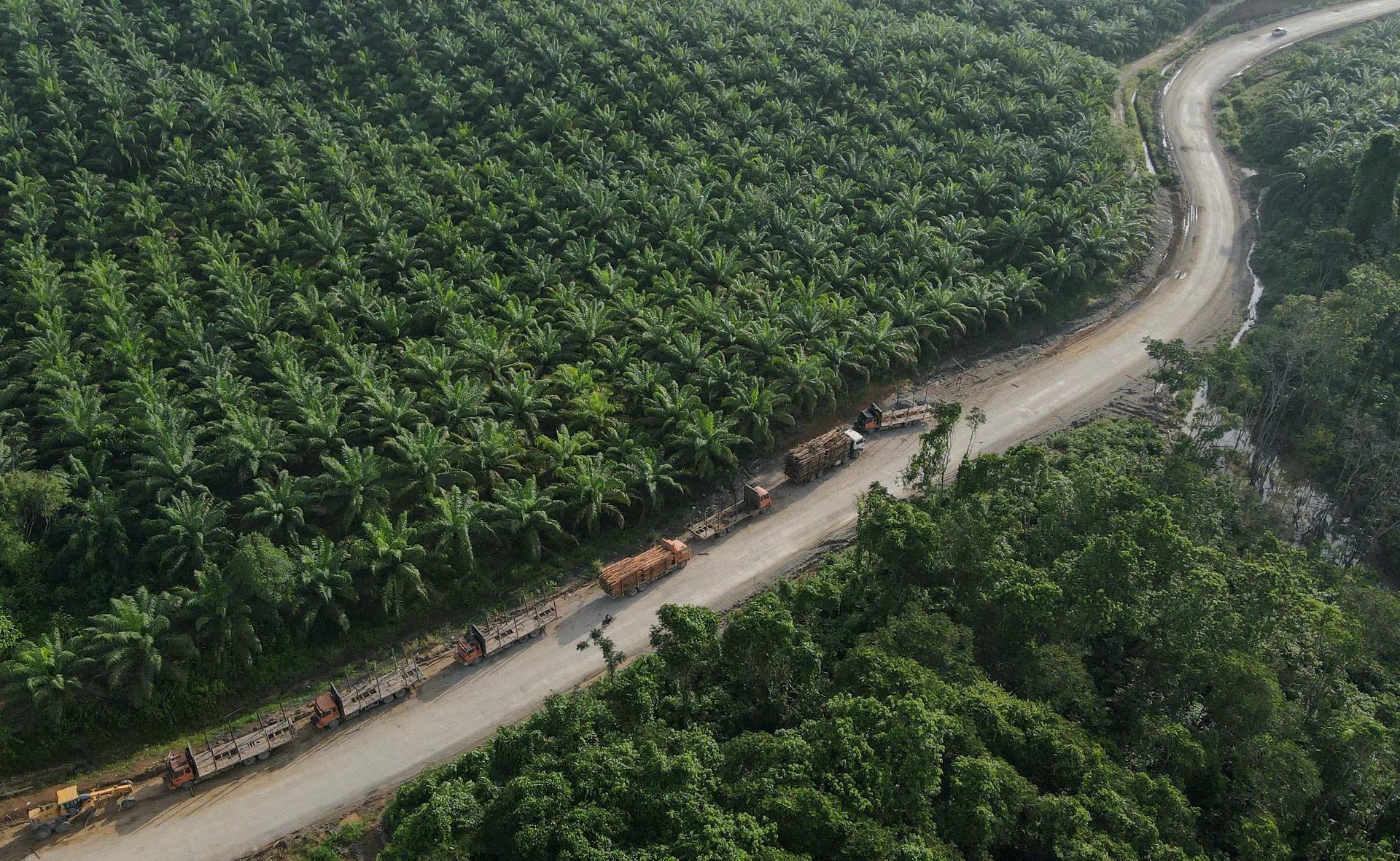 Indonesia to launch much awaited IPOs for PalmCo, PHE in coming months ...