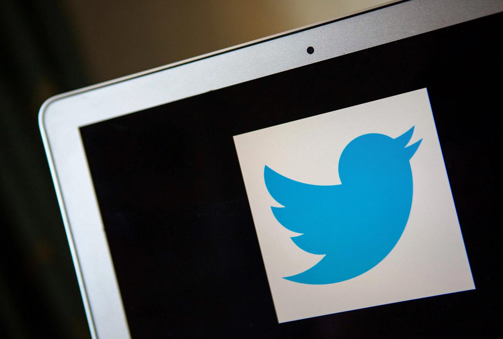 Twitter tweets start to sing - The Business Times