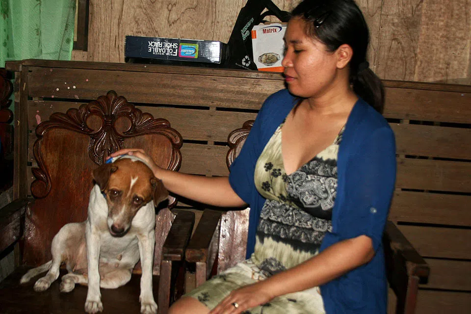 Woman finds pet dog lost in Philippine typhoon a year ago
