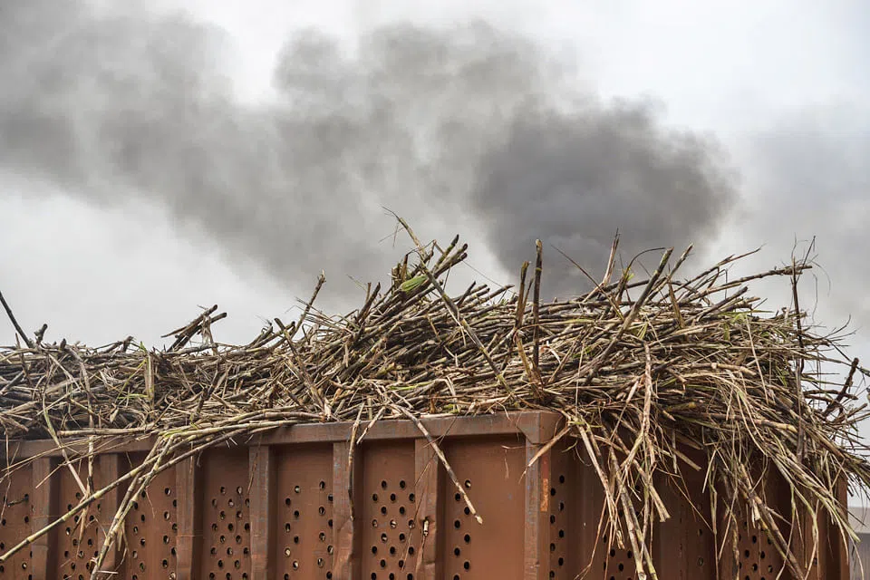 Sugar-cane fuel wins in Brazil as cheap ethanol beats petrol