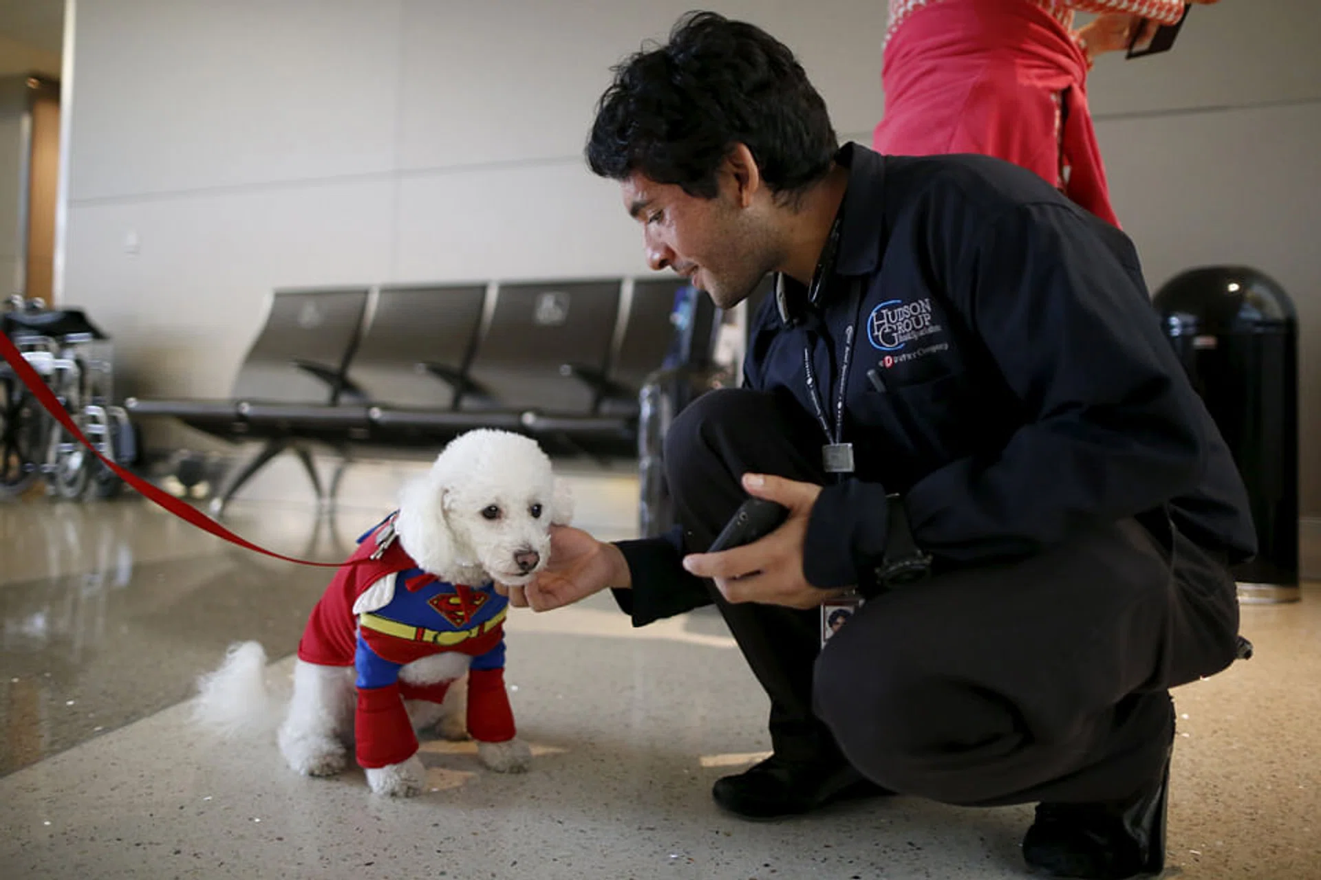 Doggone it, some US airport customer service staff are furry - The ...