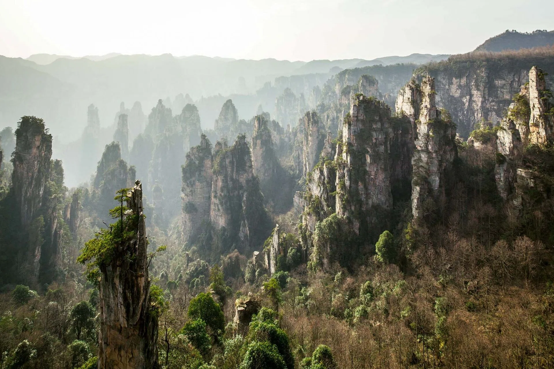 World's highest lift zips tourists up China's 'Avatar' cliff - The ...