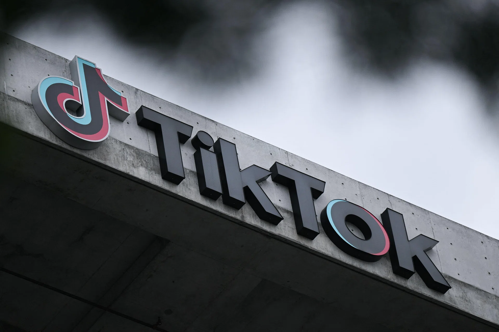 TikTok testing AI chatbot called Tako, research firm says - The ...