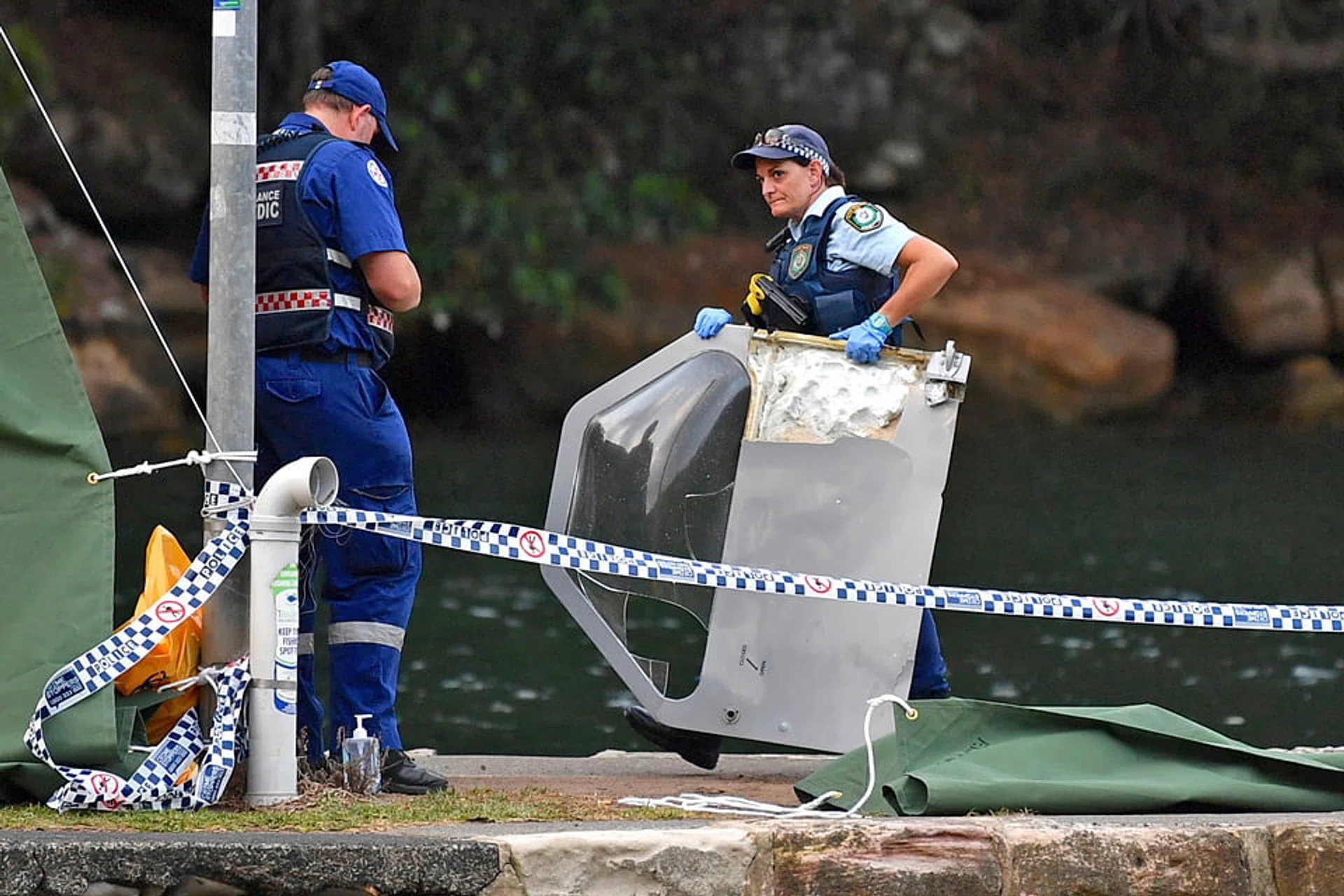 Australian investigators to raise seaplane in which Compass Group CEO ...