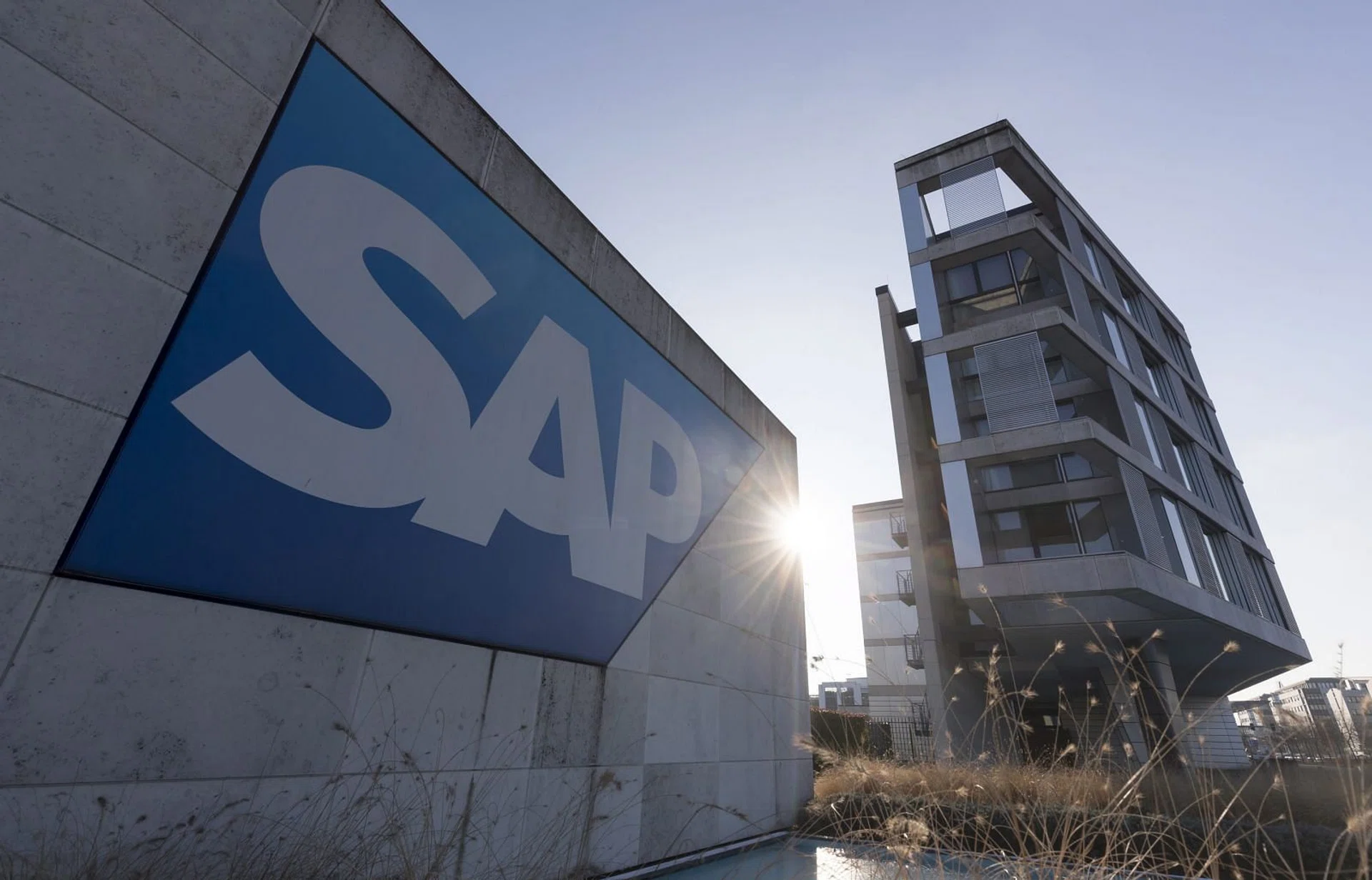 Software giant SAP sees silver lining in global upheaval - The Business ...