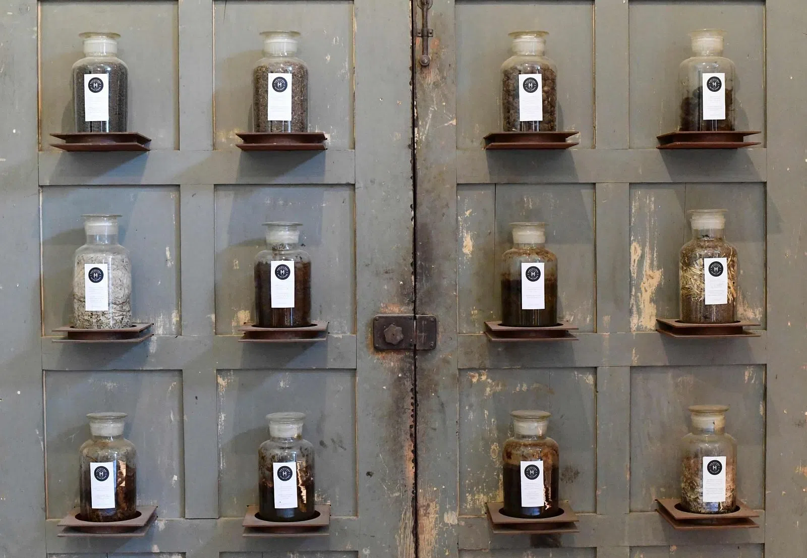 New museum reveals power of poo in Italy - The Business Times