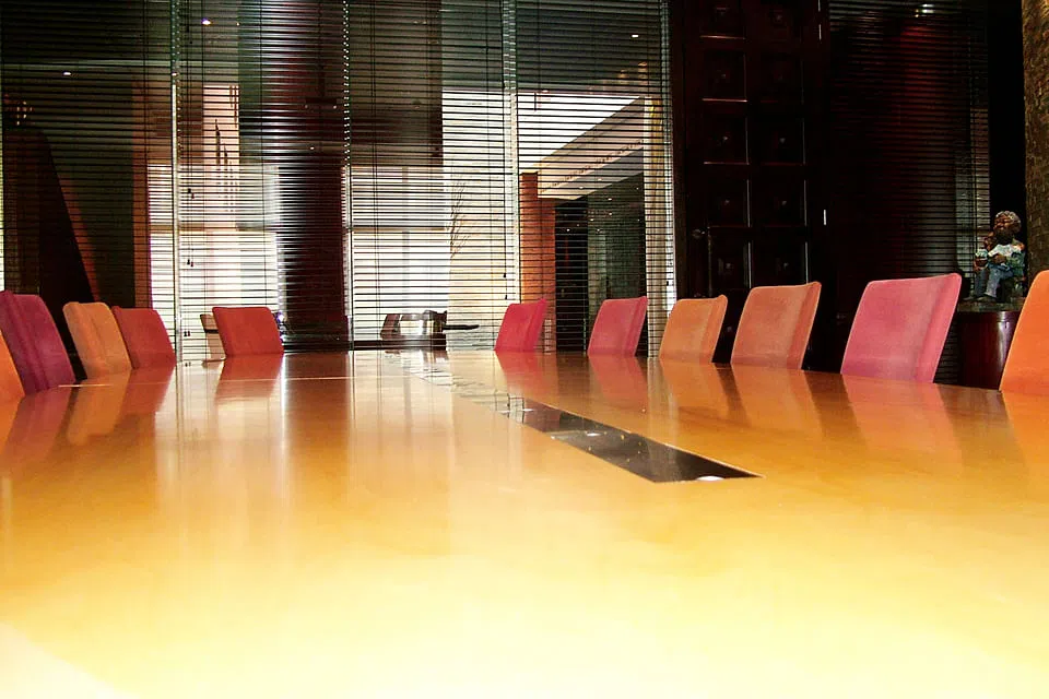 Nominee directors face difficult balancing act - The Business Times