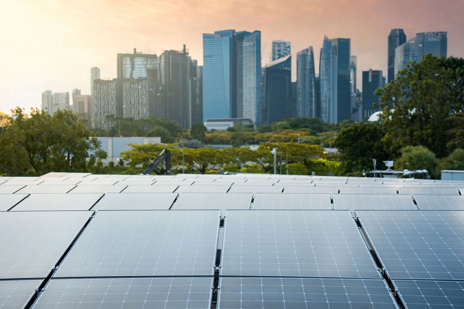 The green balancing act: How Singapore SMEs can navigate sustainability ...