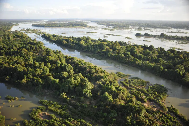 Climate Impact X opens new chapter as carbon exchange goes live - The ...