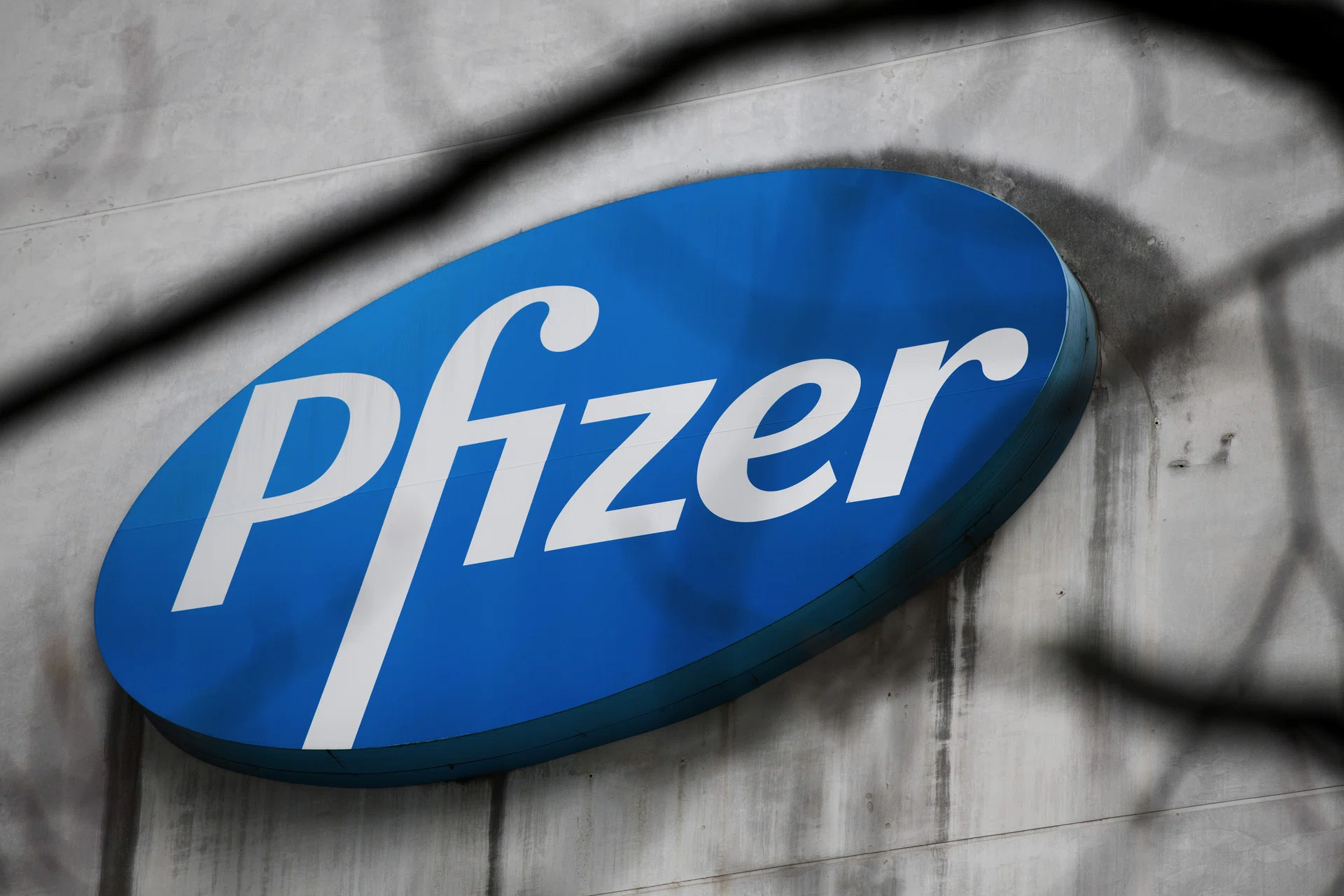 Pfizer to buy Global Blood Therapeutics in US$5.4b deal - The Business ...