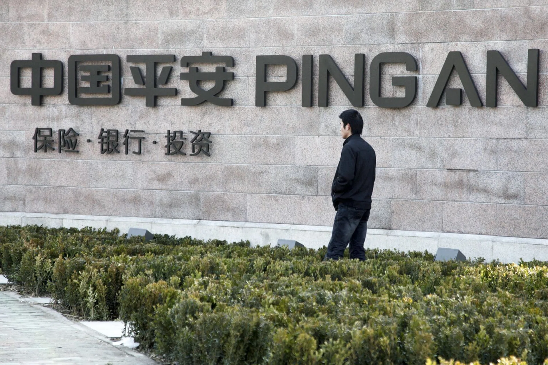 Ping An's OneConnect Financial files for IPO amid US lull - The ...