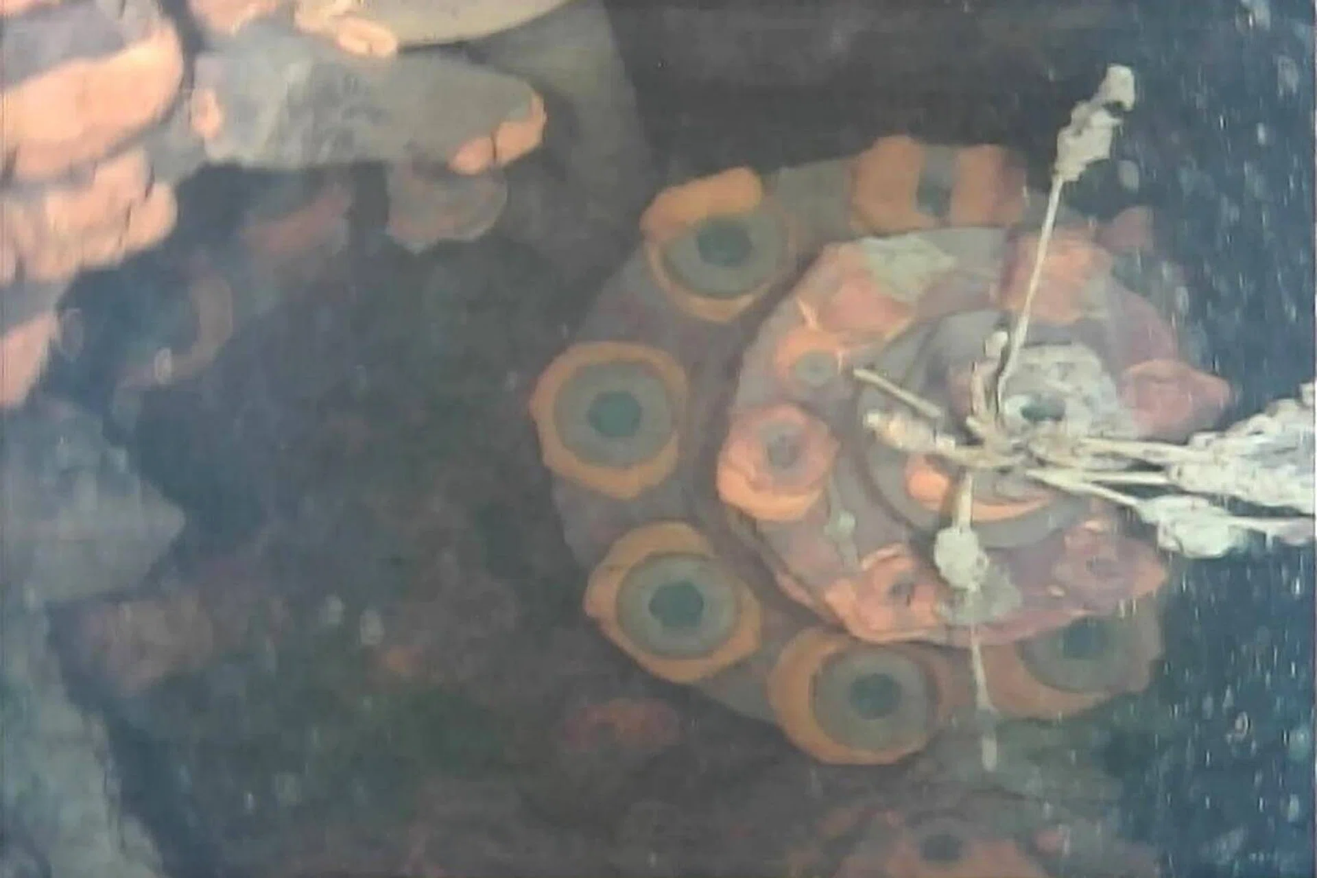 Underwater robot probes inside Fukushima reactor - The Business Times