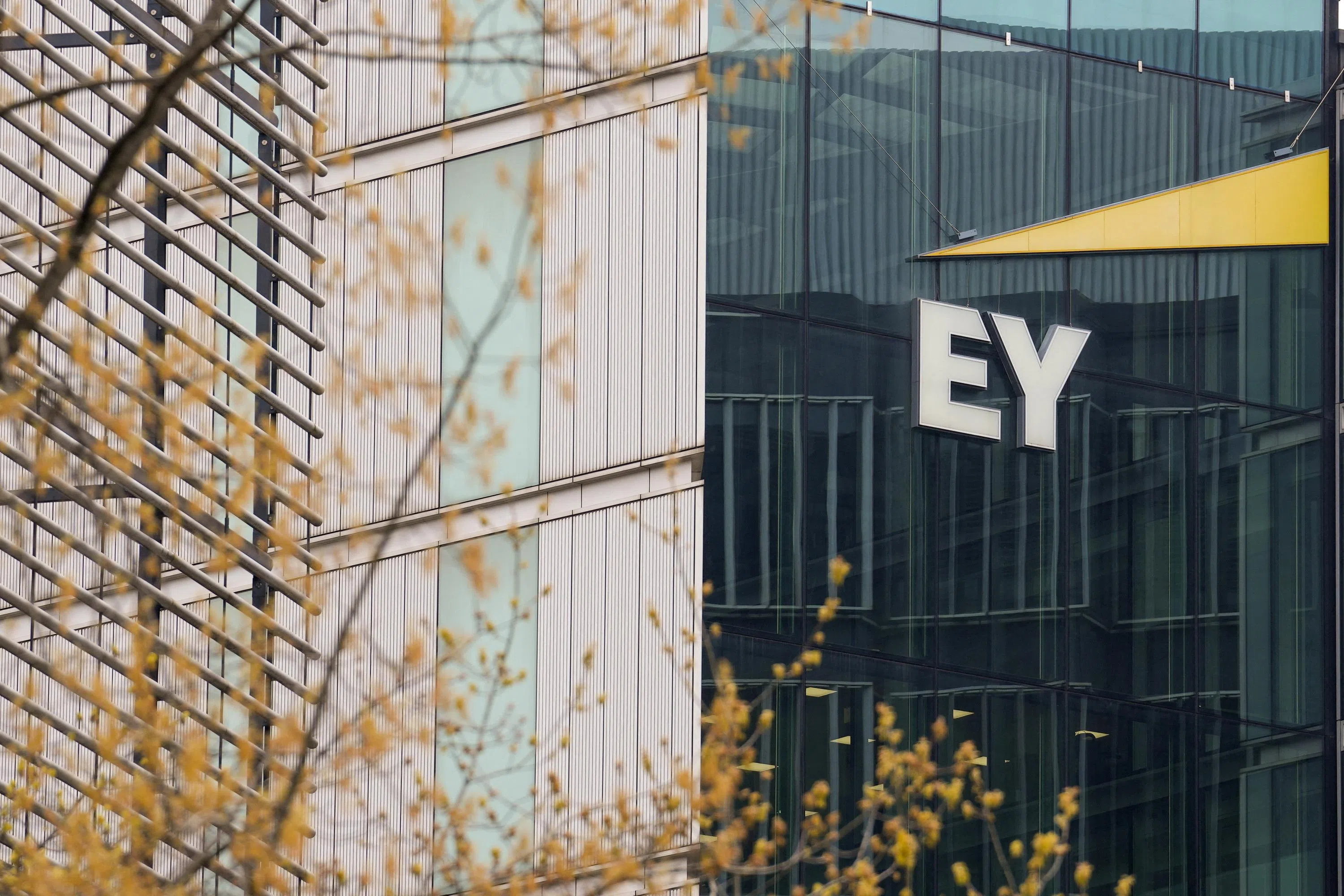 Nominations now open for EY Entrepreneur of the Year awards 2024 - The ...