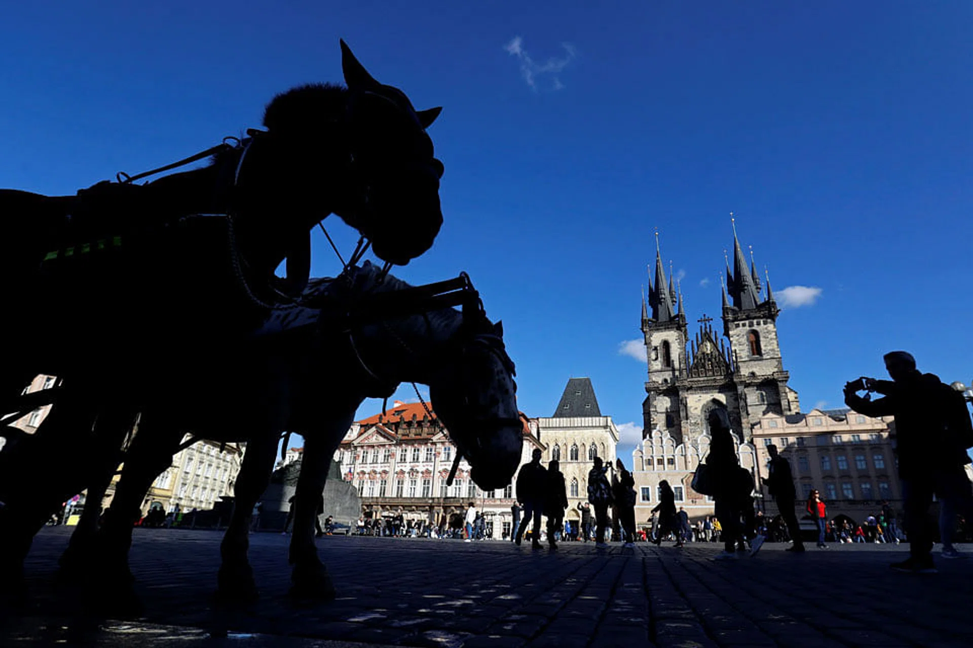 Czech developers tangled in kafkaesque maze of red tape - The Business ...