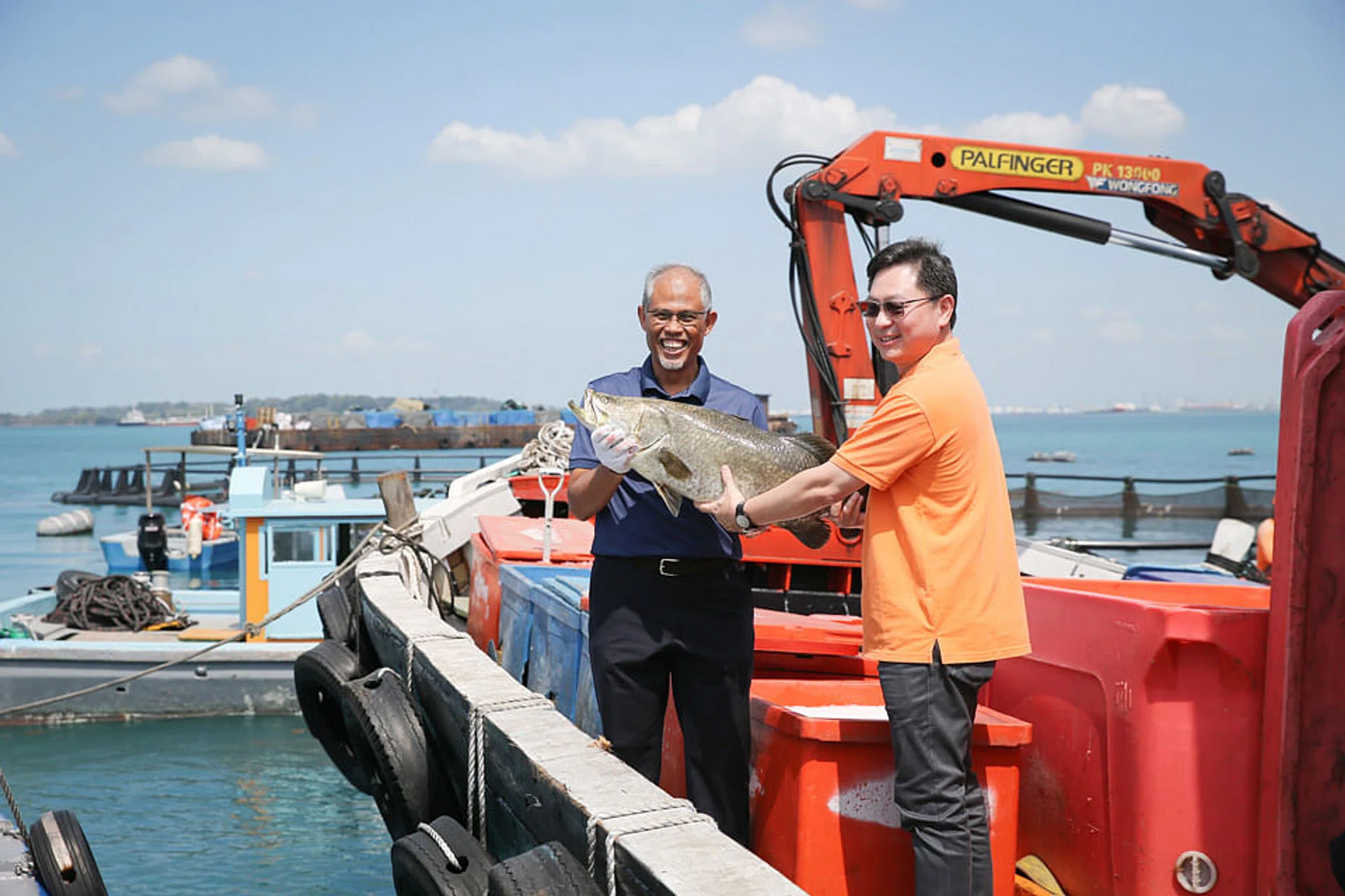 Local barramundi farm scales up with S$2m nursery extension - The ...