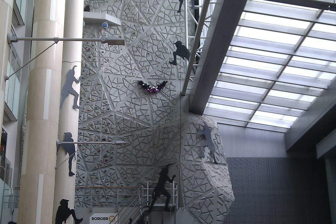Climb Central keeps a foothold in the crowded rock-climbing market ...