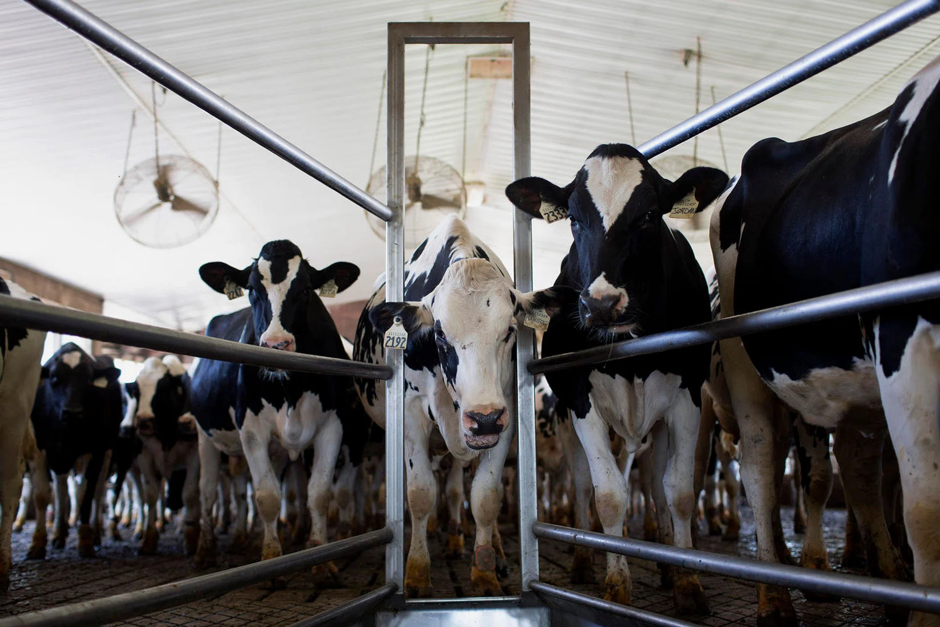 Factory closures help lift Brazil beef industry margins - The Business ...