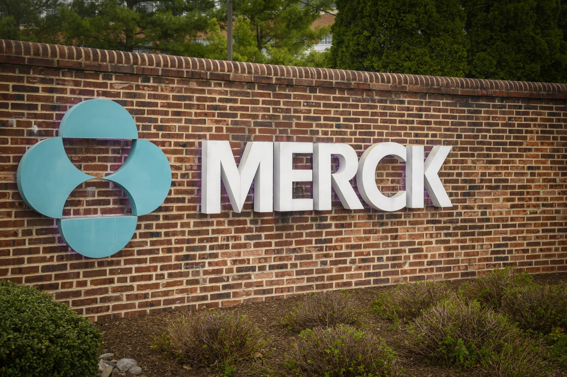 Merck is in advanced talks to buy cancer drugmaker Harpoon Therapeutics ...