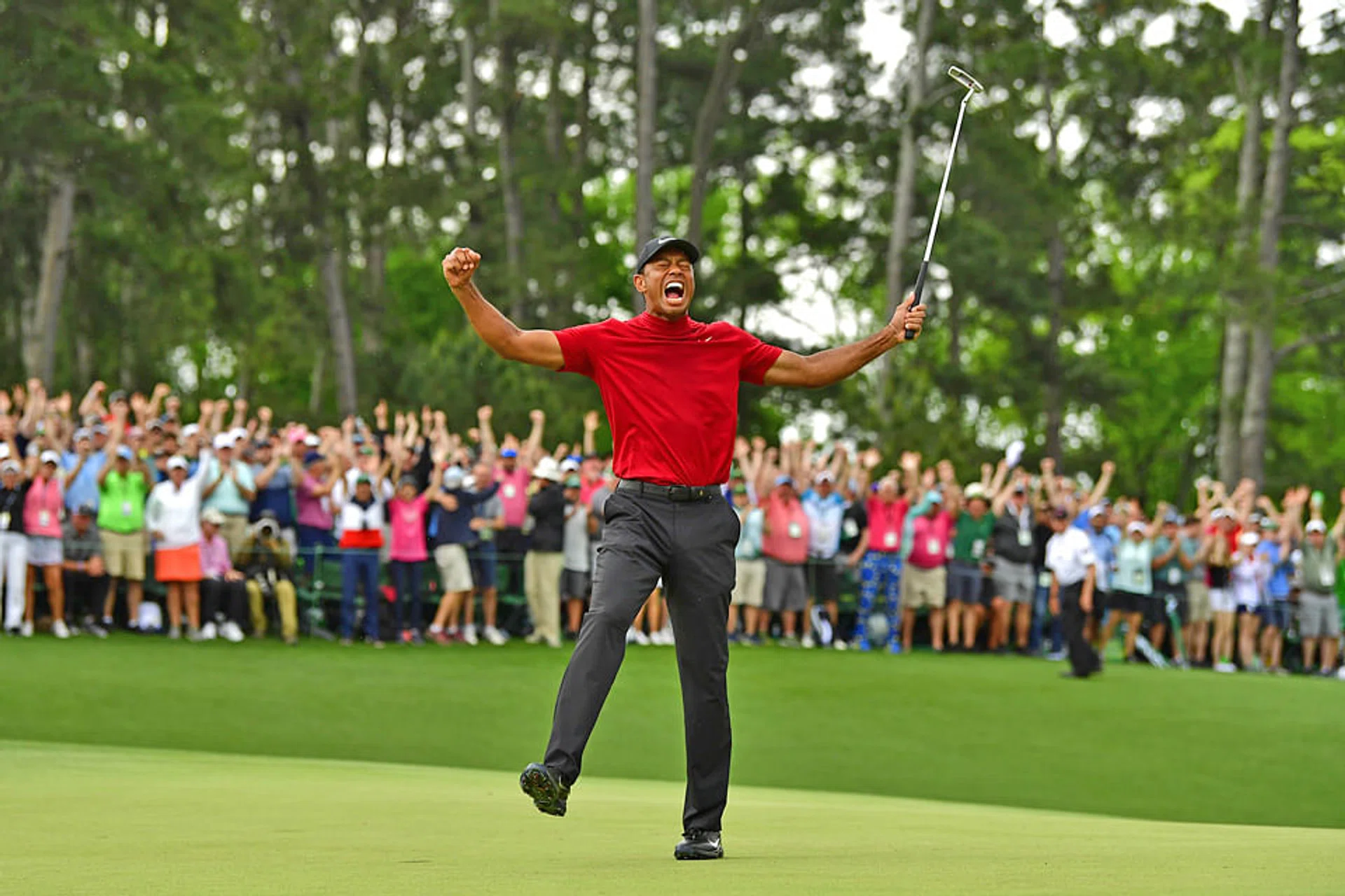 The Tiger bounce seems to be back - The Business Times