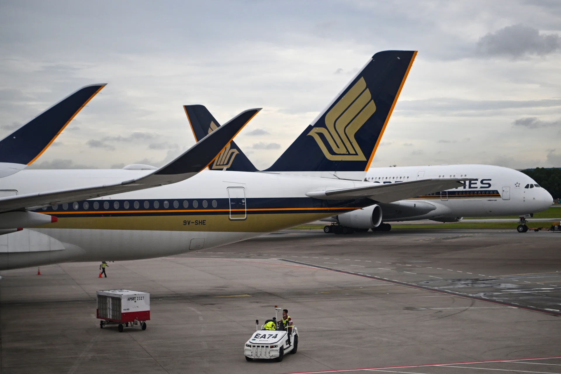 SIA to ramp up flight frequencies in 2023 on expected demand surge ...