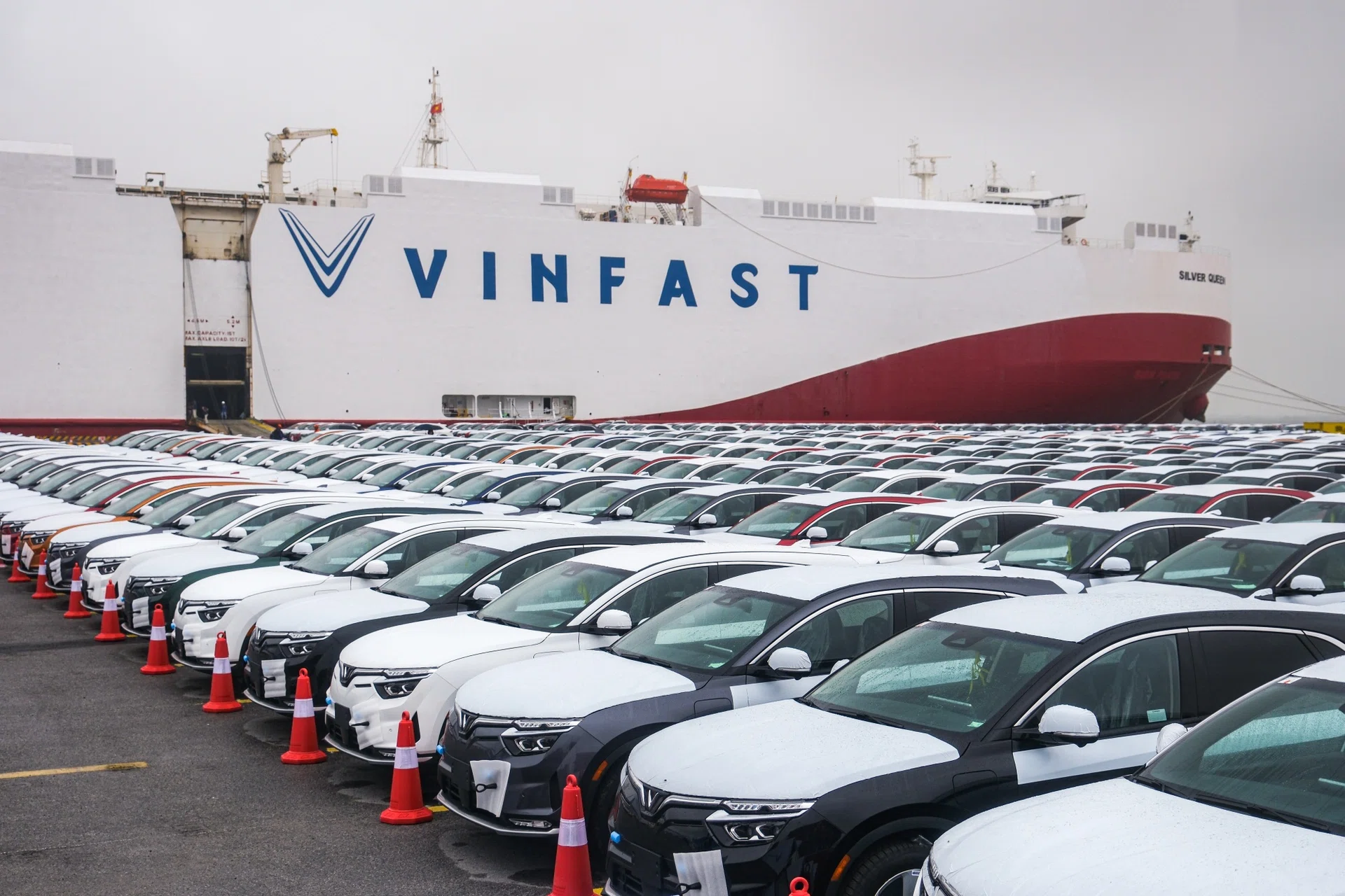 VinFast founder has no plans to inject more money into EV maker - The ...