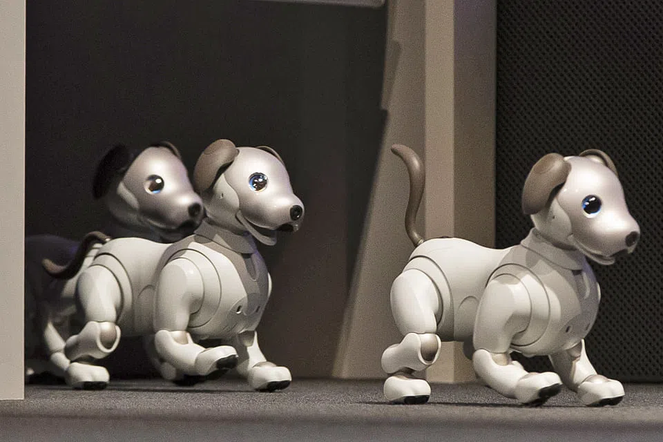 Sony revives pet AI project with updated aibo robot dog - The Business ...