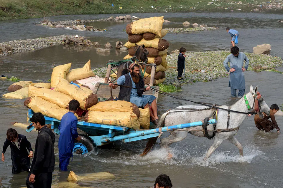 Goldman says 'Fragile Five' are stronger than many think