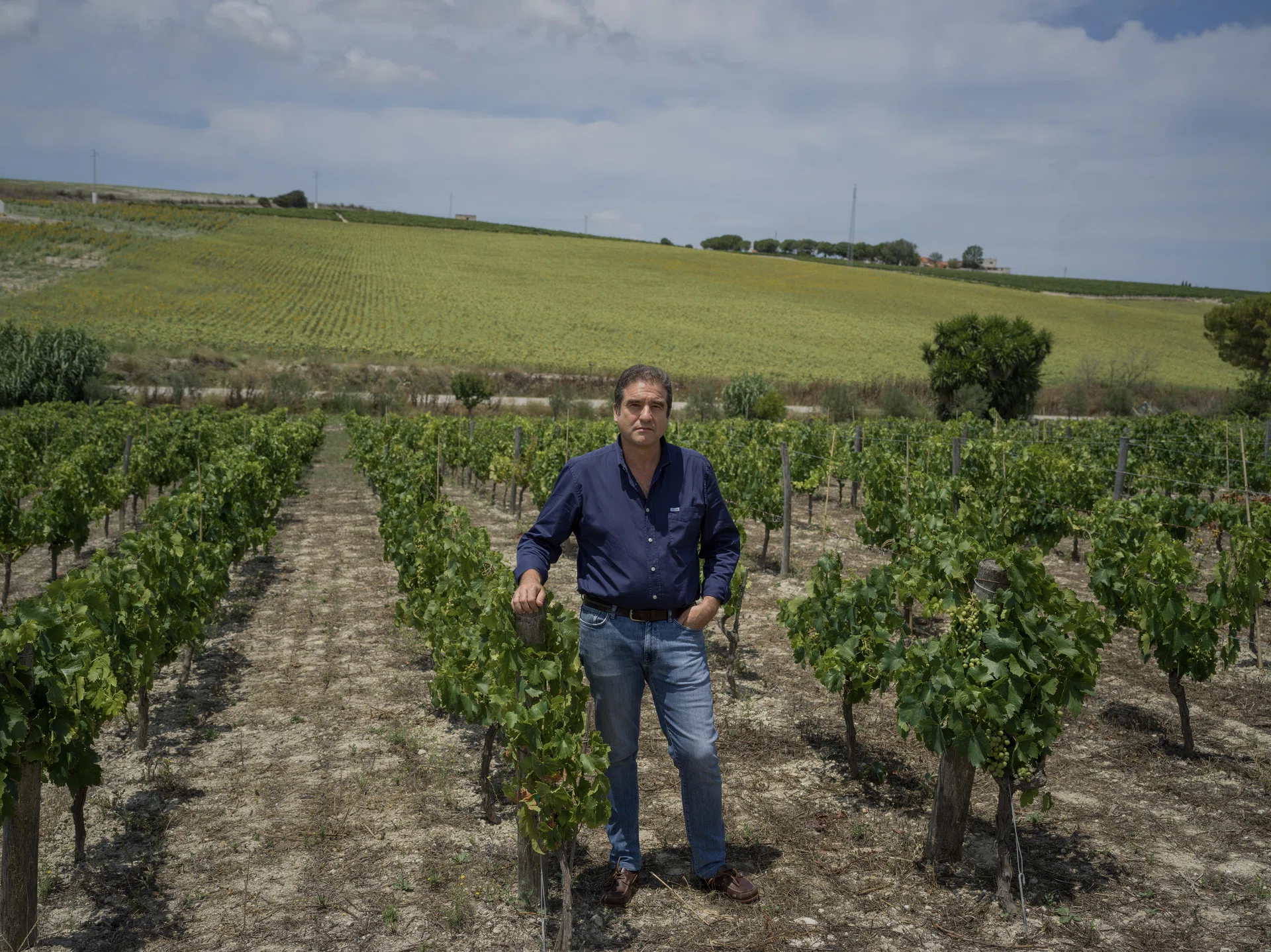 In sherry country, wines of the future that look to the past - The ...