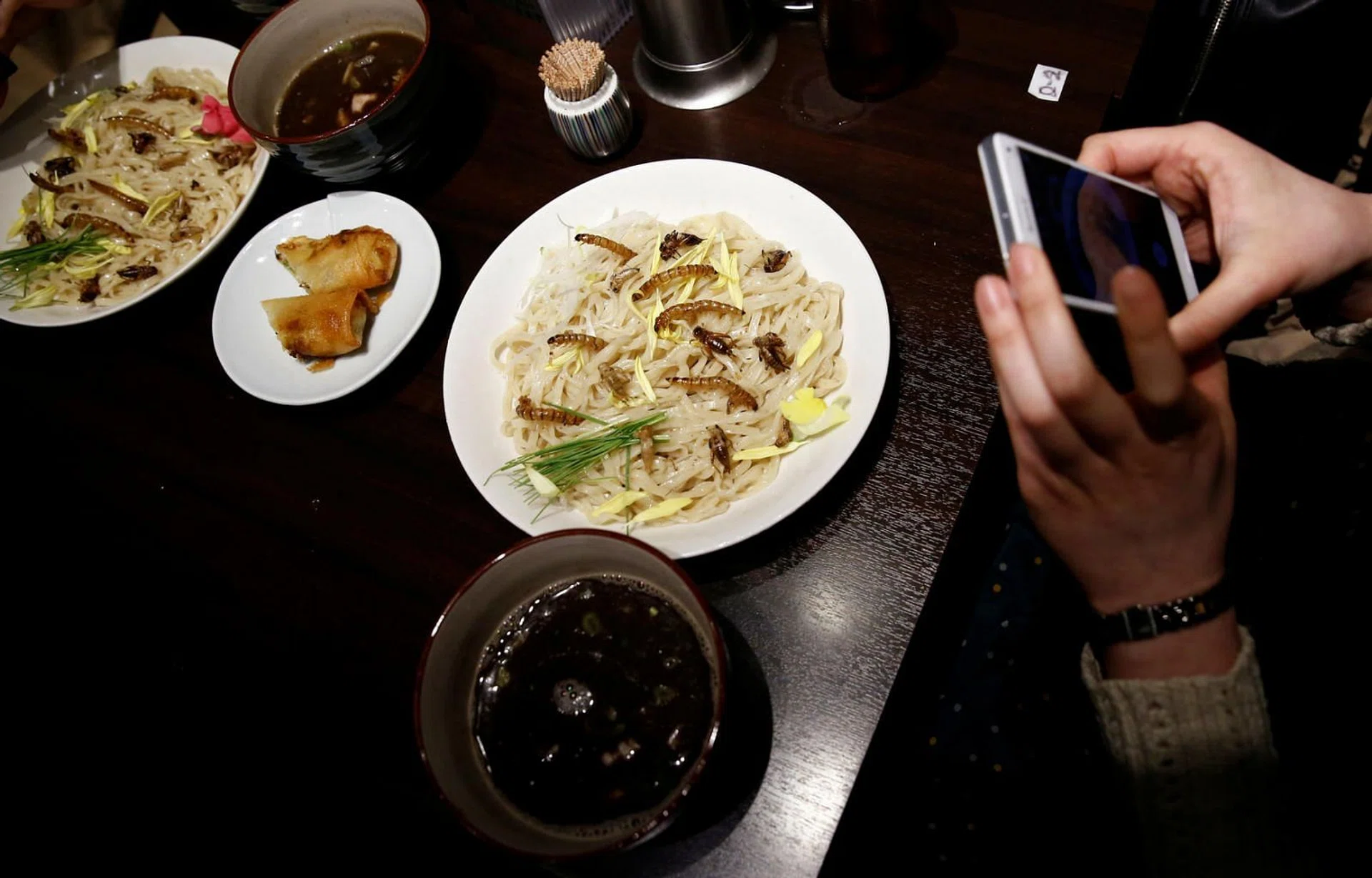 A dash of bugs with that? Insect-topped noodles sell out in Tokyo - The ...