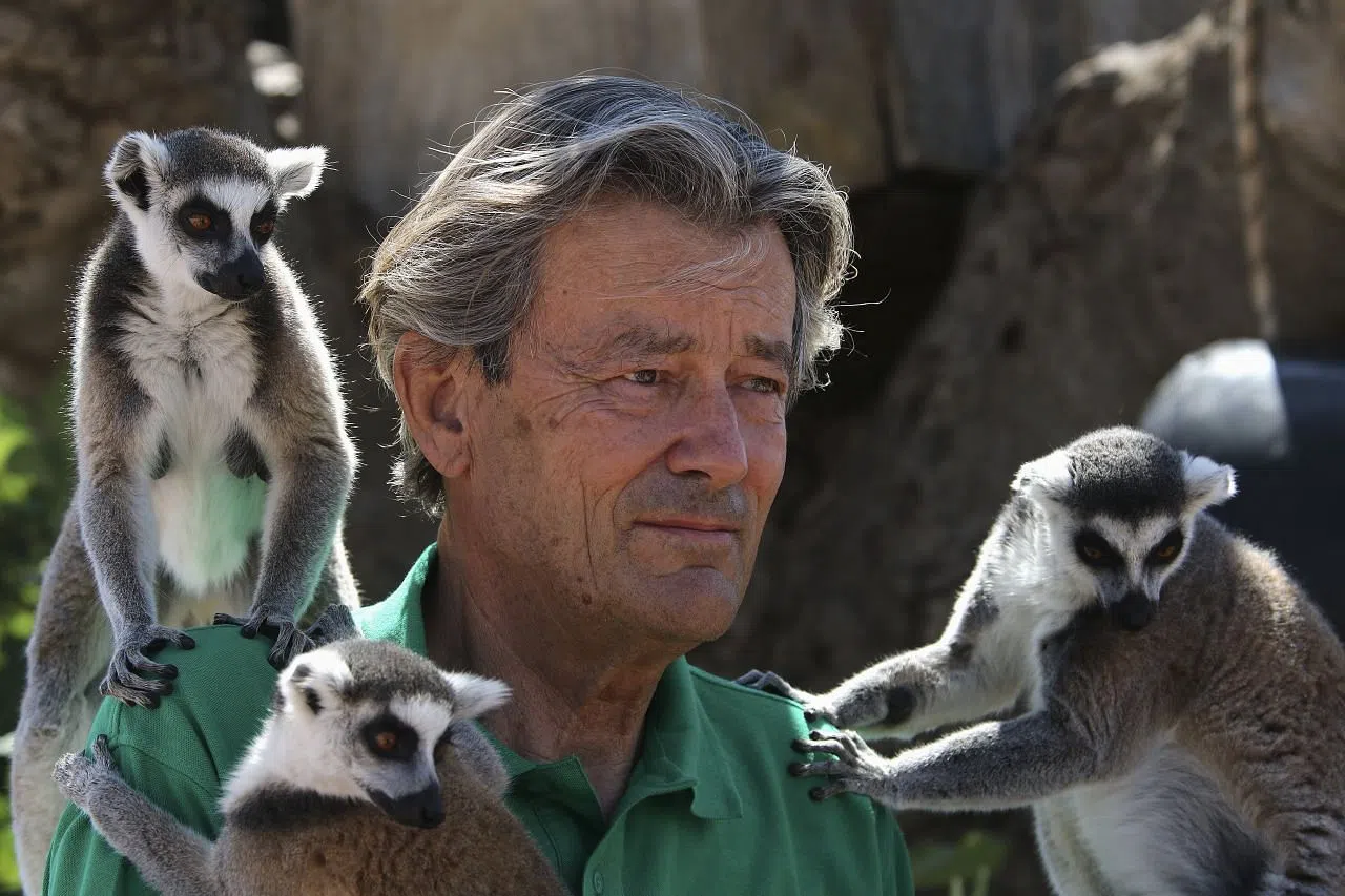 Zoo animals in Athens at risk as crisis hits feed imports