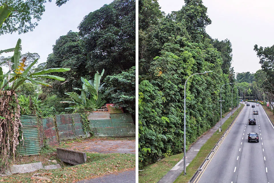 Tyersall Park site worth S$4.7b - if it can be sold