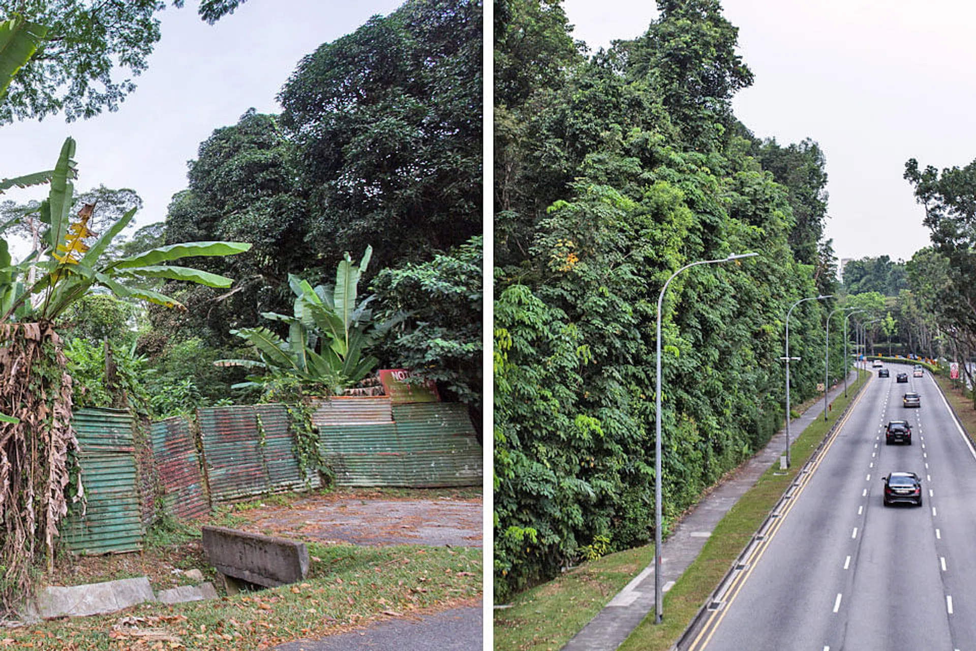 Tyersall Park site worth S$4.7b - if it can be sold - The Business Times