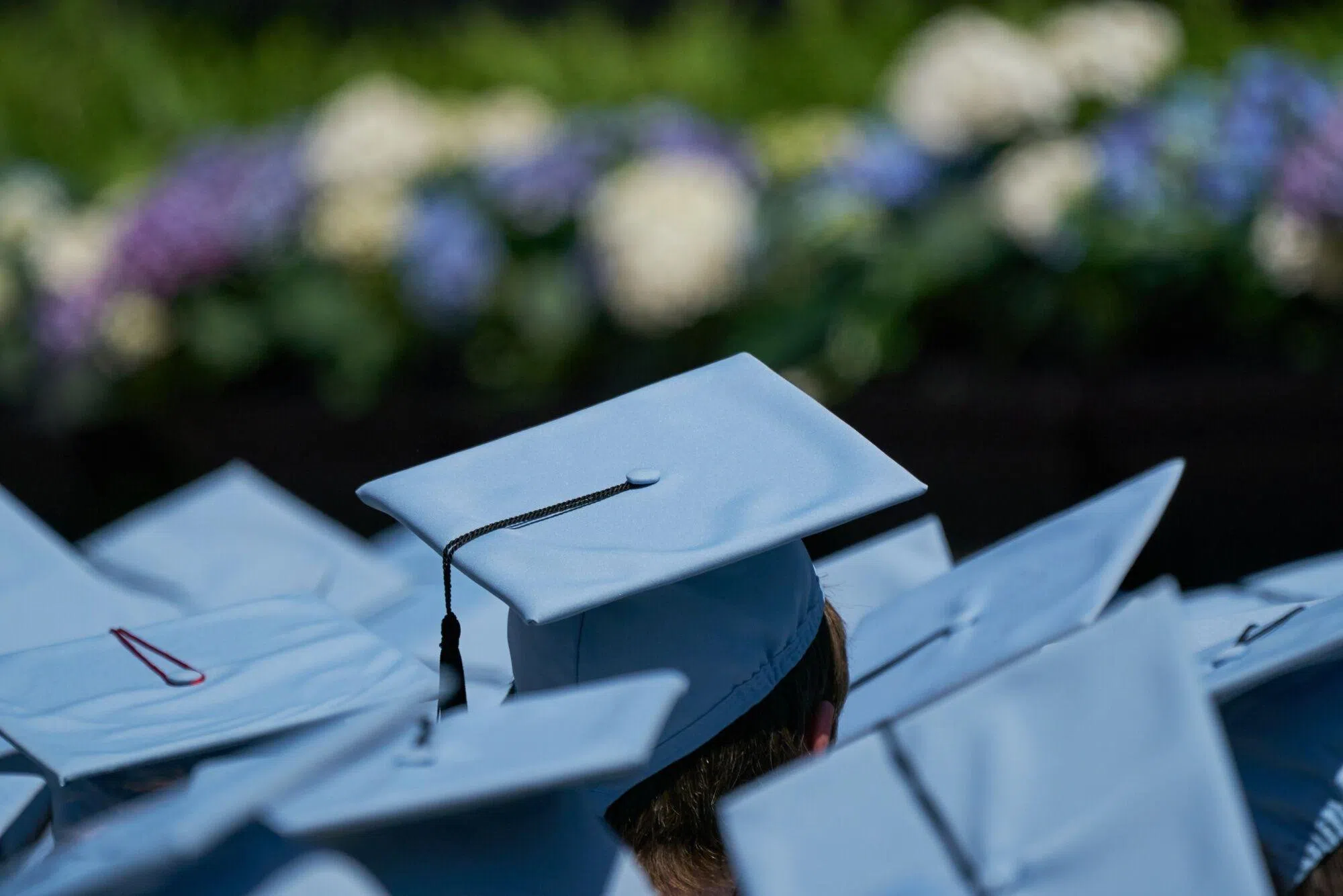 Congrats, college grad. Good luck finding that dream job - The Business ...