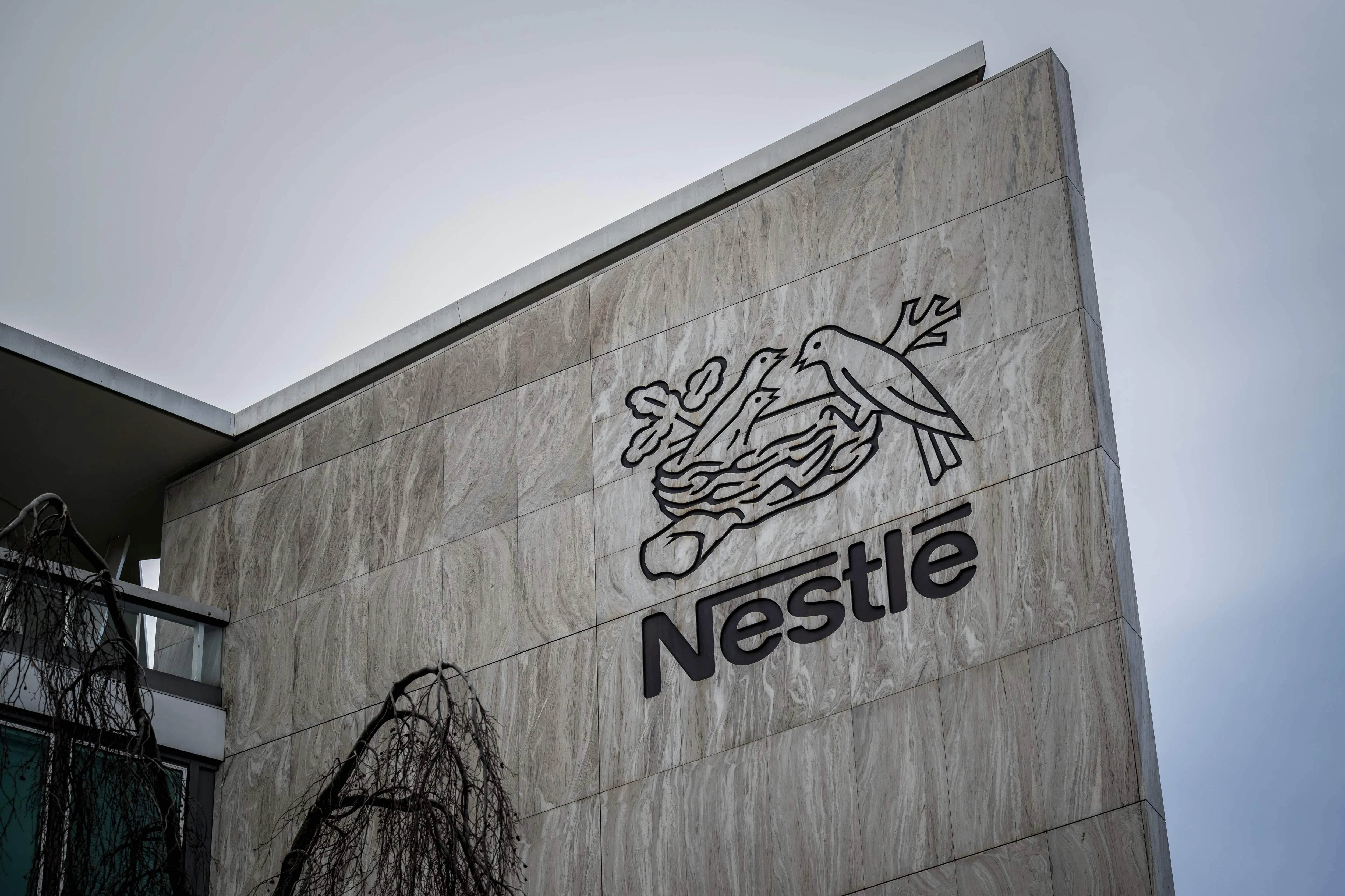 Nestle faces investor challenge over healthy food targets - The ...