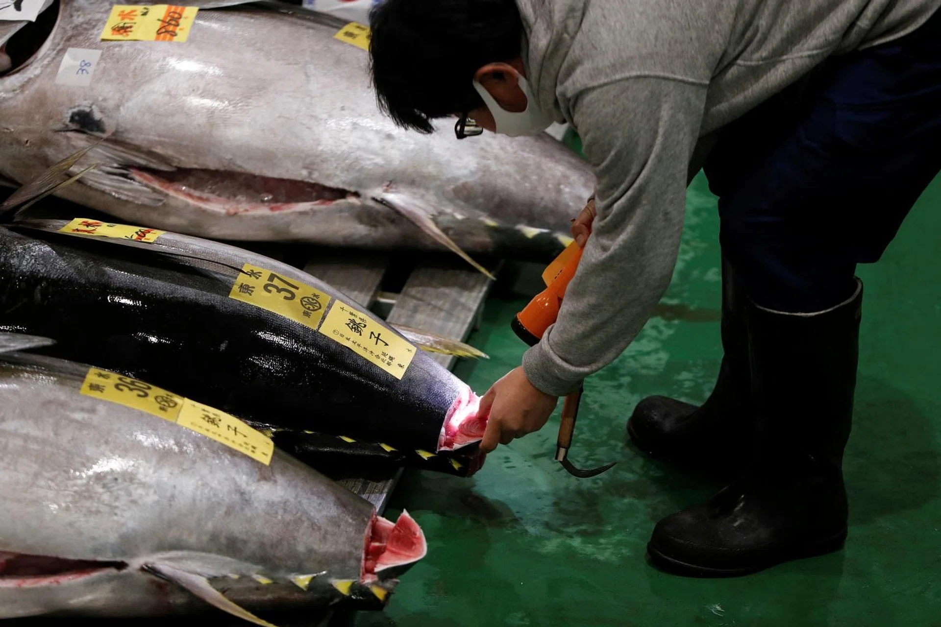 Japan's tuna market, the world's largest, hit hard by pandemic - The ...