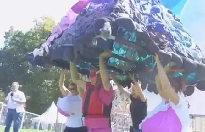 Bra parachute wins Australia flying contest - The Business Times