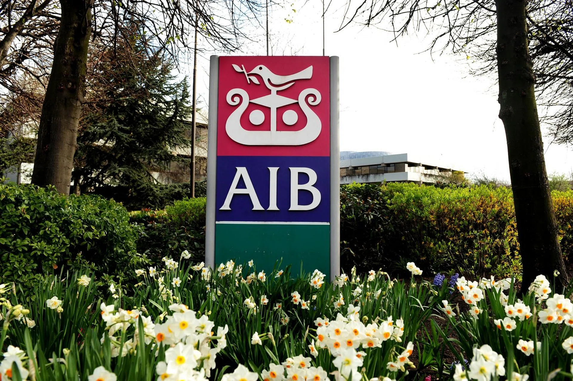 AIB takes spotlight as Ireland plans biggest London IPO of 2017 - The ...