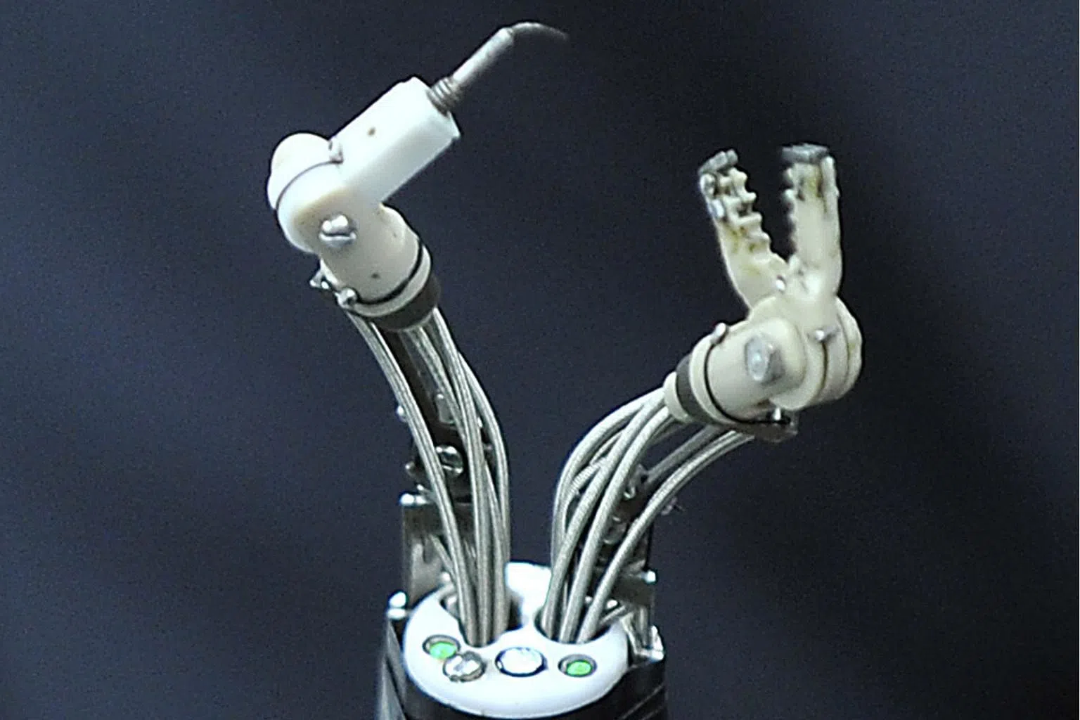 Singapore medtech firm EndoMaster raises S$20.5m Series B funding - The ...