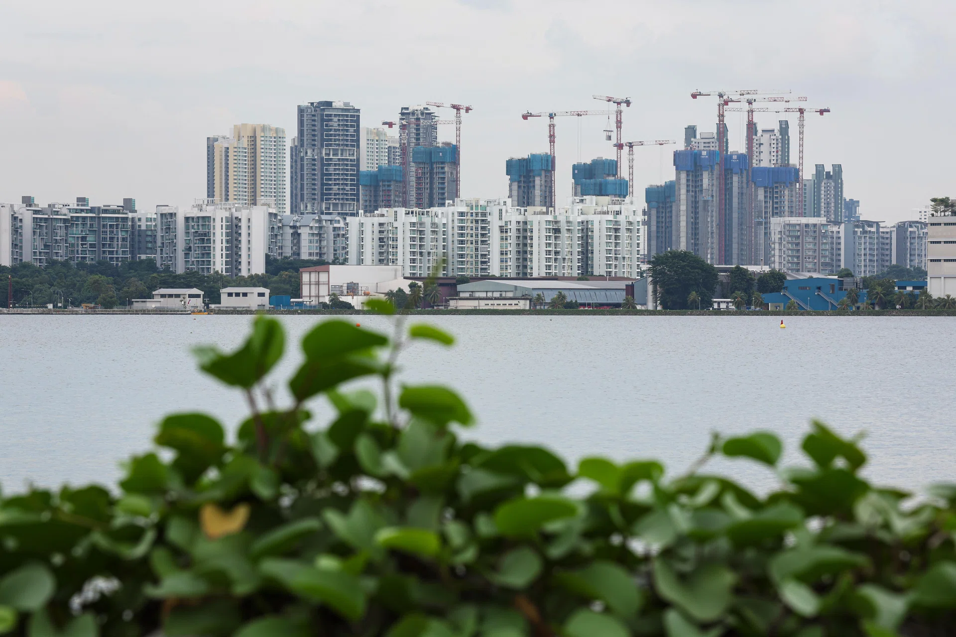 Singapore’s green report card a reminder of broader issues for the ...