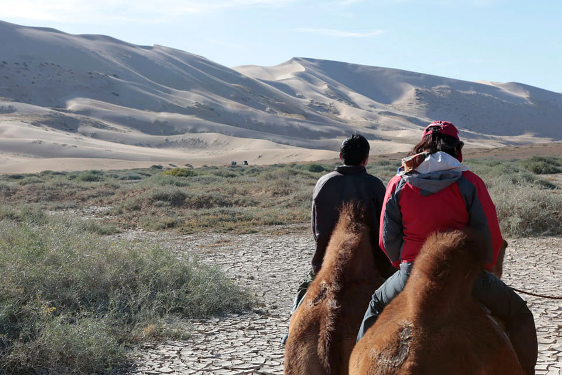 The glorious freedom of a roving lifestyle - The Business Times